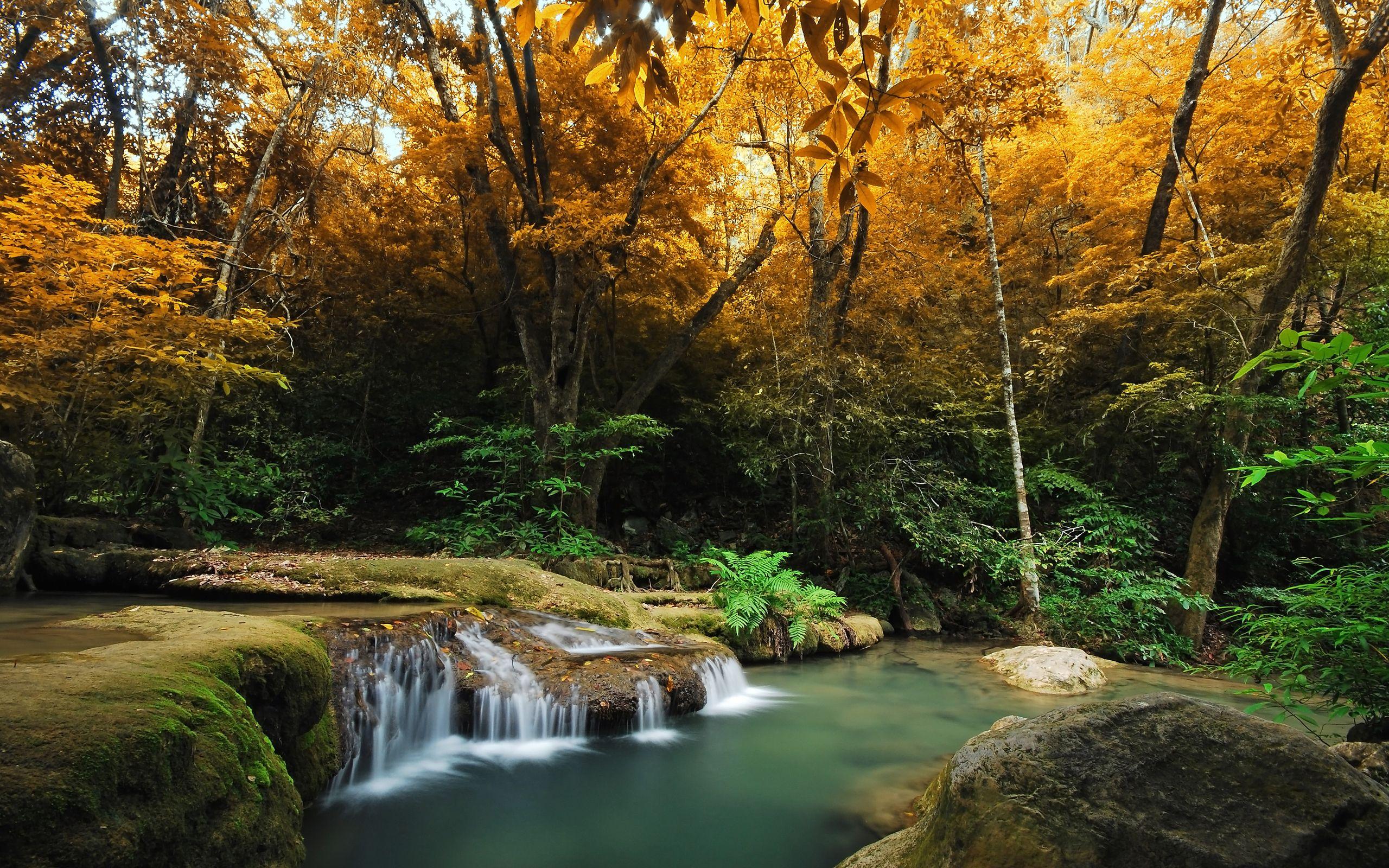 Forest Stream Wallpapers - Top Free Forest Stream Backgrounds ...