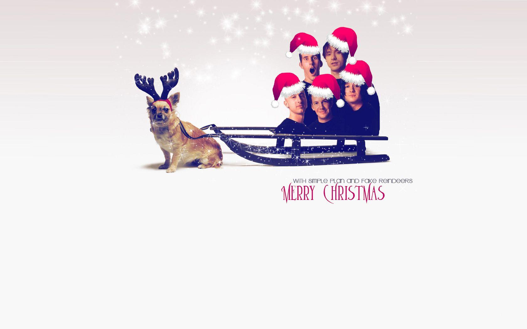 Simple Plan Wallpapers - Top Free Simple Plan Backgrounds - WallpaperAccess