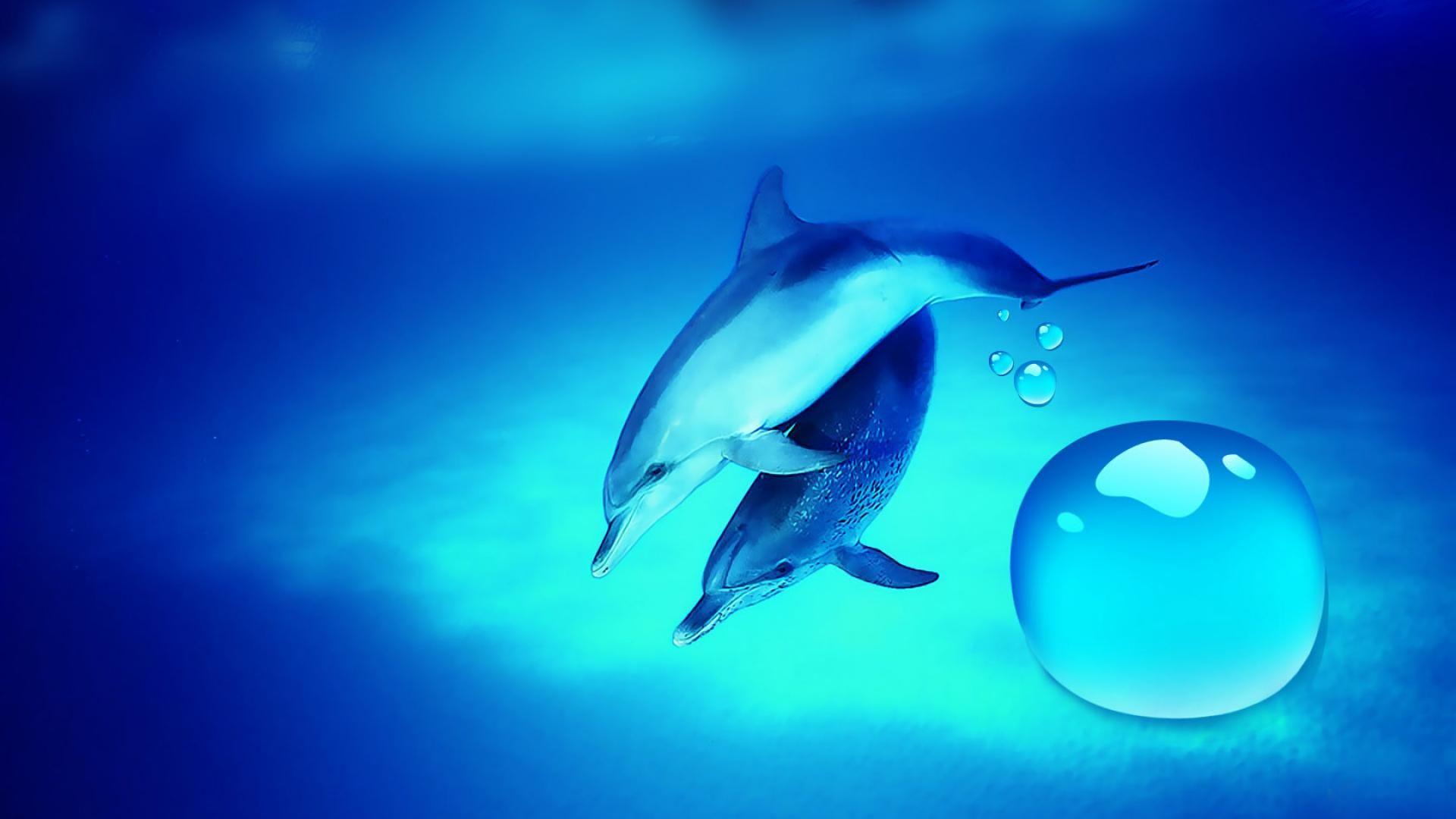 Cartoon Dolphin Wallpapers - Top Free Cartoon Dolphin Backgrounds ...