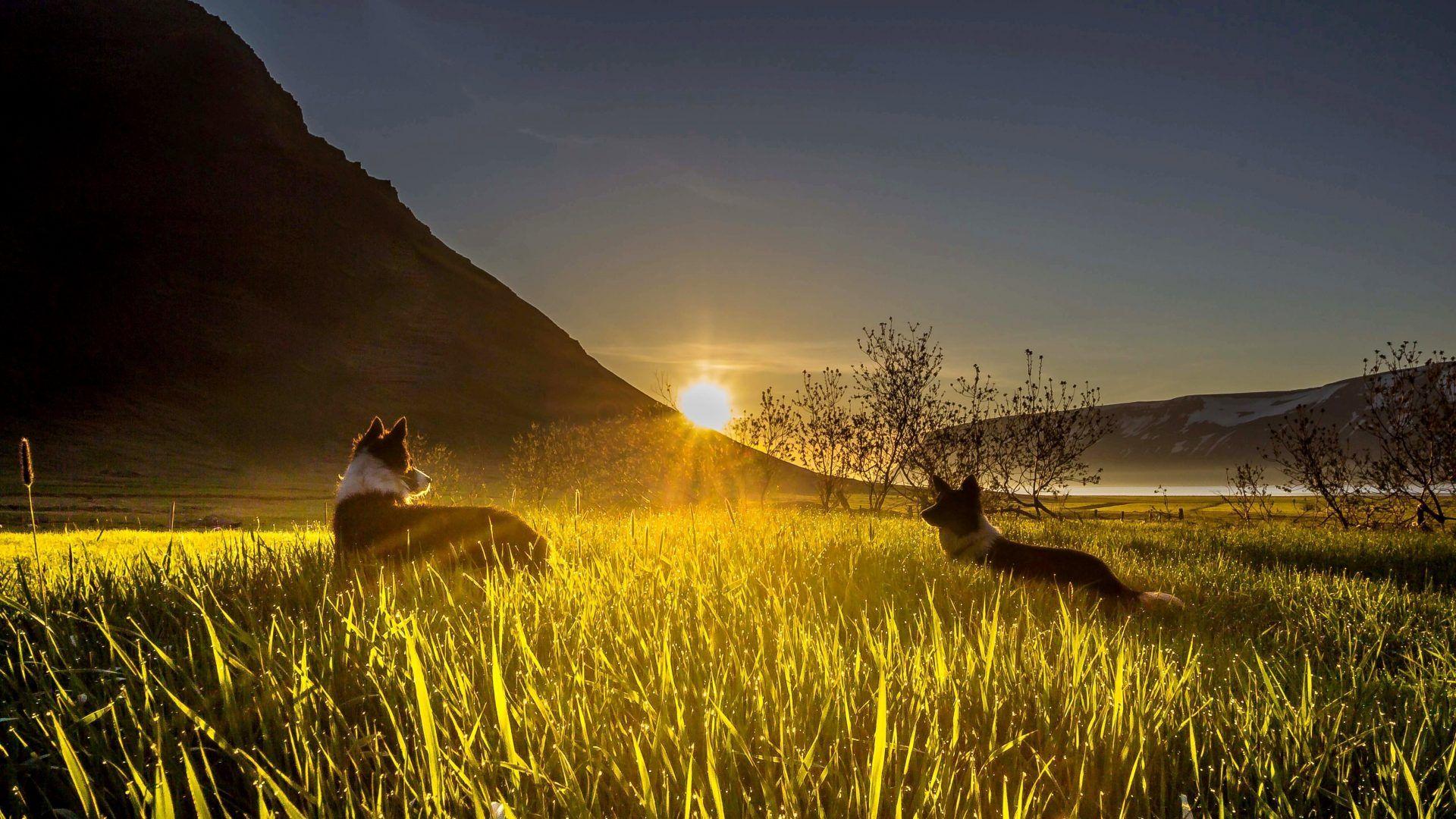 Colombia Landscape Wallpapers - Top Free Colombia Landscape Backgrounds ...