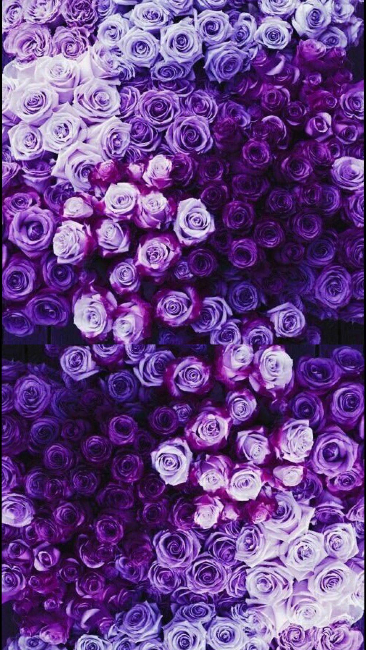 Aesthetic Purple Rose Wallpapers - Top Free Aesthetic Purple Rose ...
