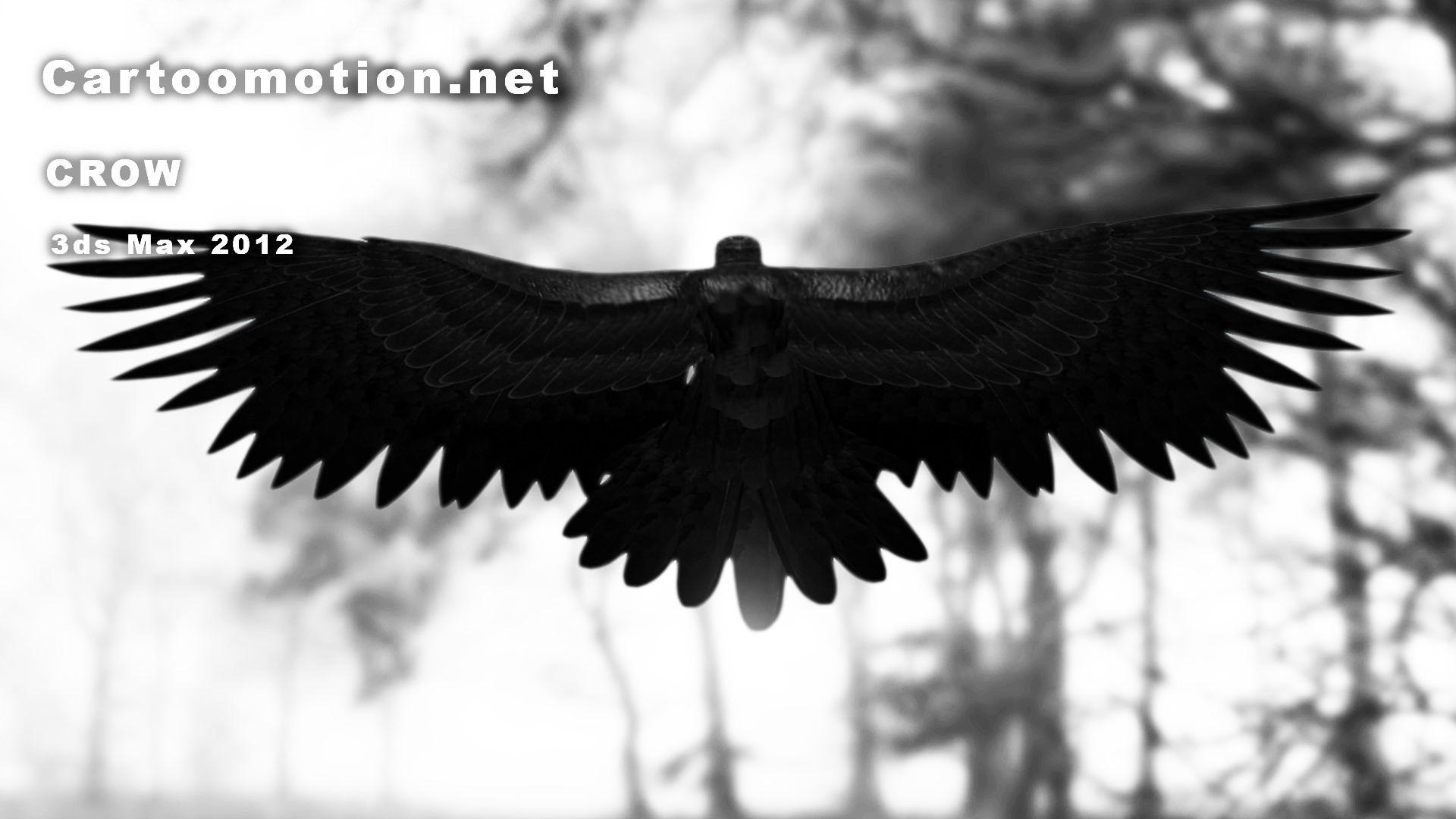 3D Crow Wallpapers - Top Free 3D Crow Backgrounds - WallpaperAccess