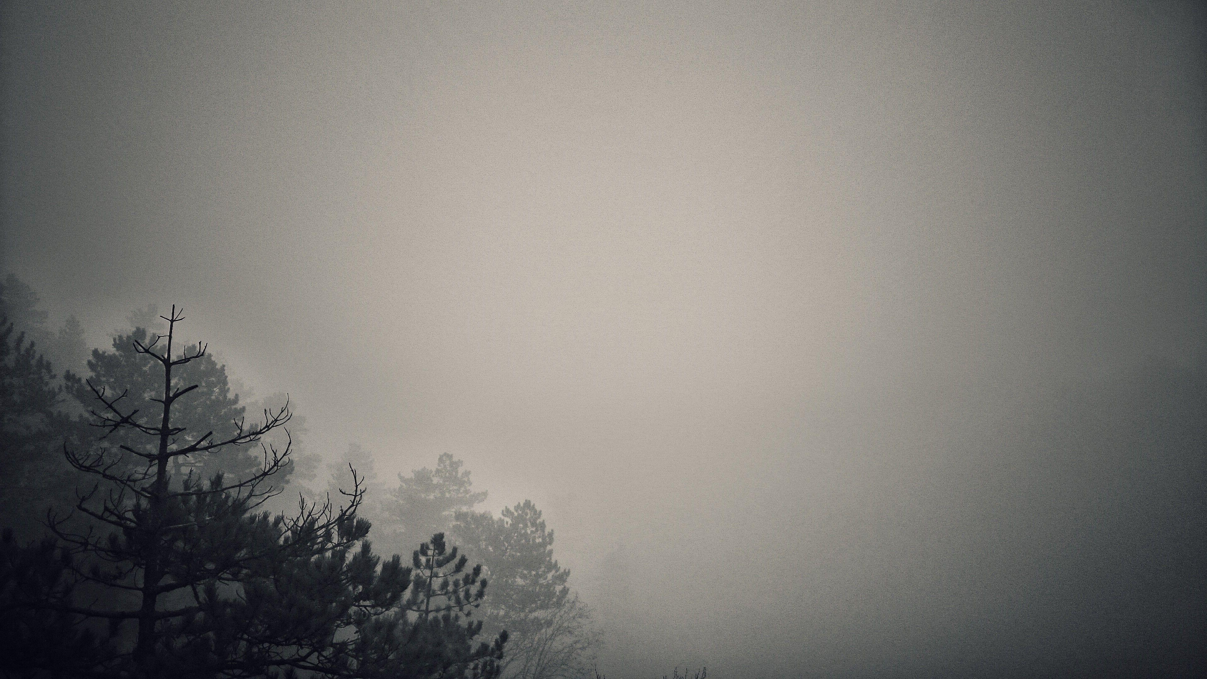 Minimalist Nature Photography Wallpapers - Top Free Minimalist Nature ...