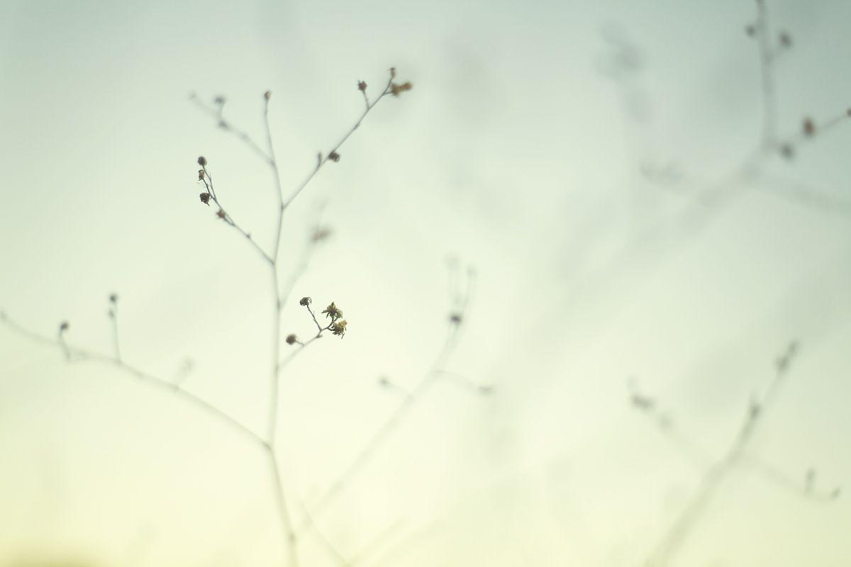 Minimalist Nature Photography Wallpapers - Top Free Minimalist Nature ...