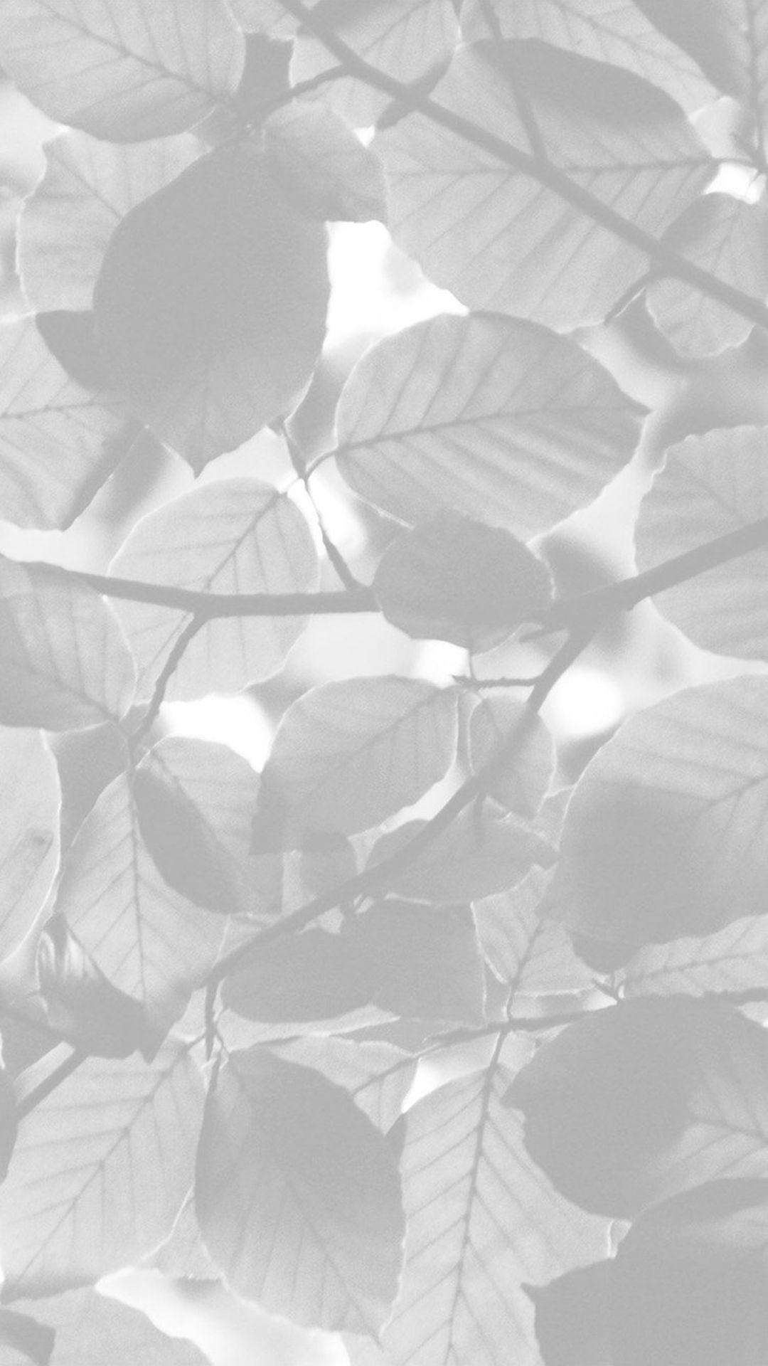 White iPad Wallpapers - Top Free White iPad Backgrounds - WallpaperAccess