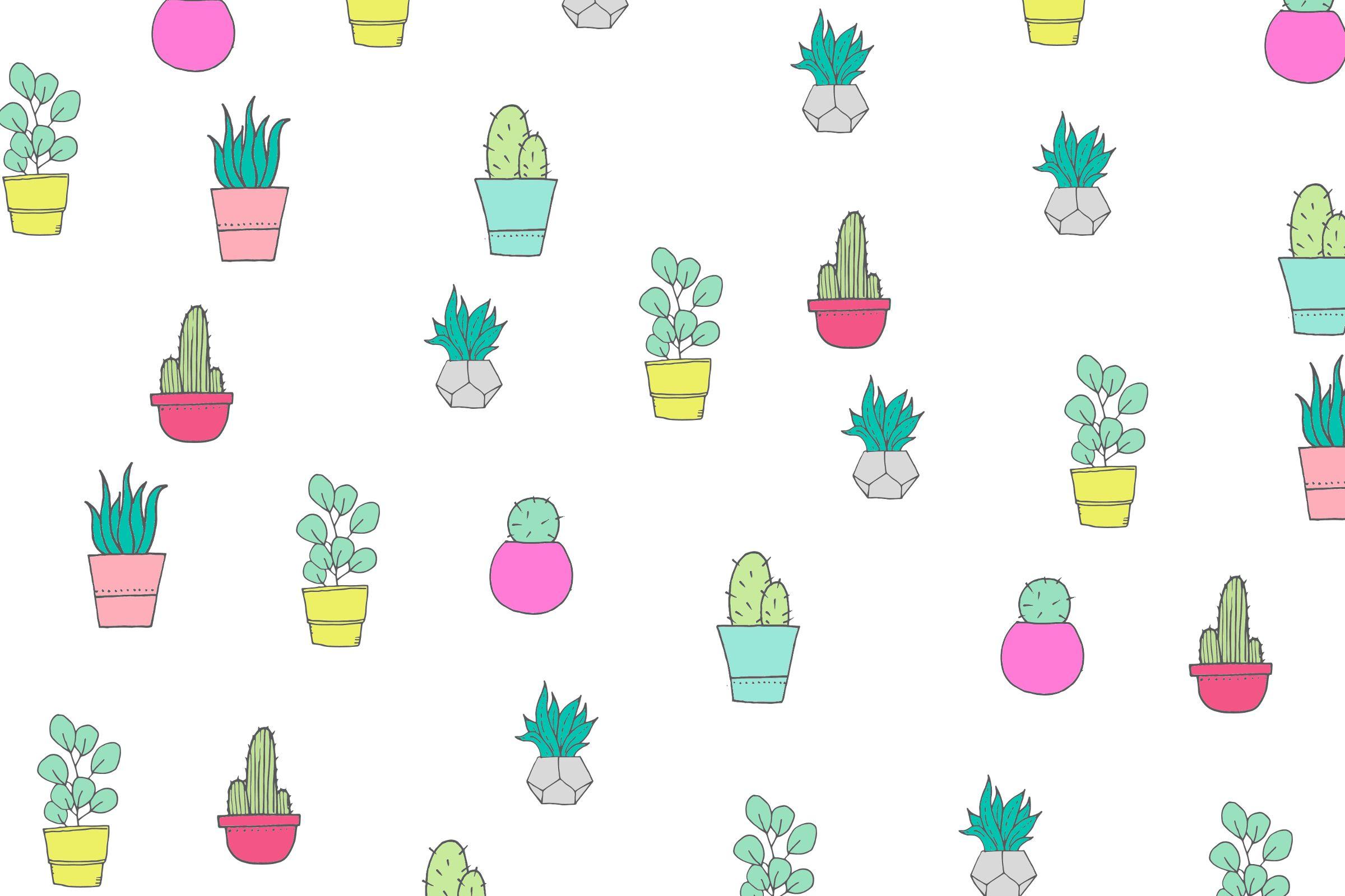 Pink Cactus Desktop Wallpapers - Top Free Pink Cactus Desktop ...