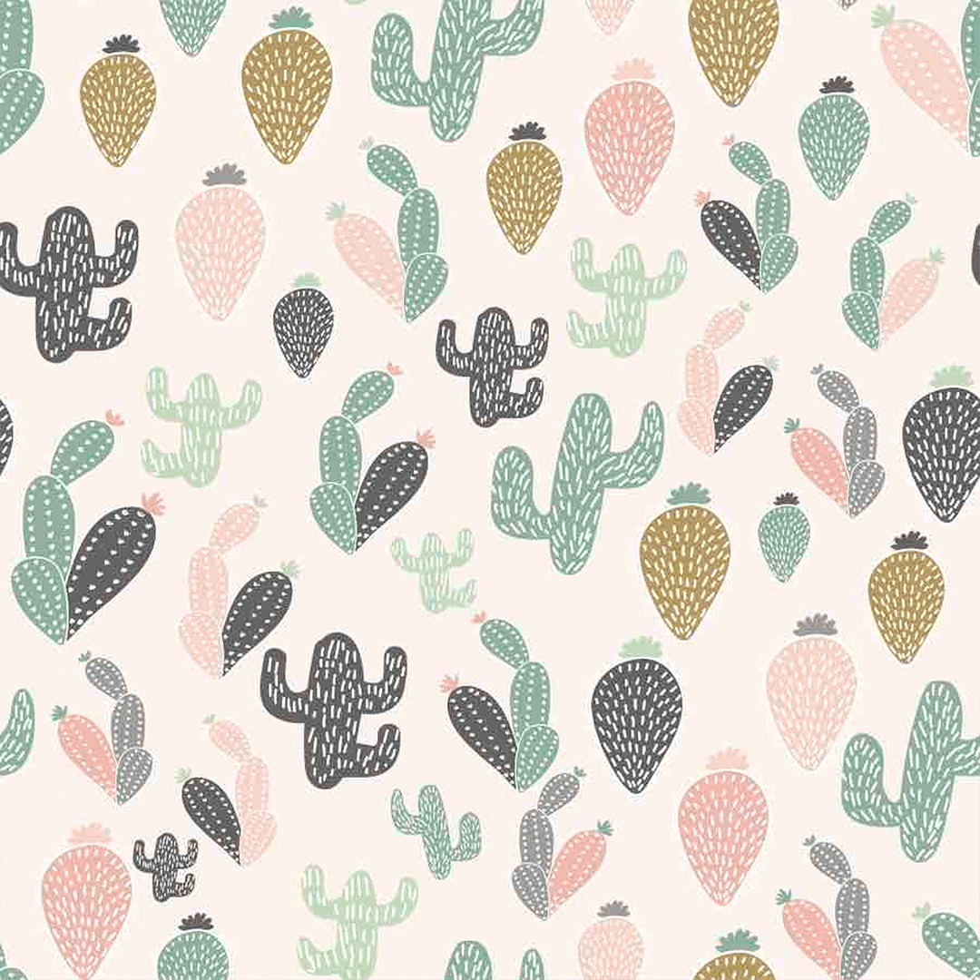 Cactus Phone Wallpapers - Top Free Cactus Phone Backgrounds ...