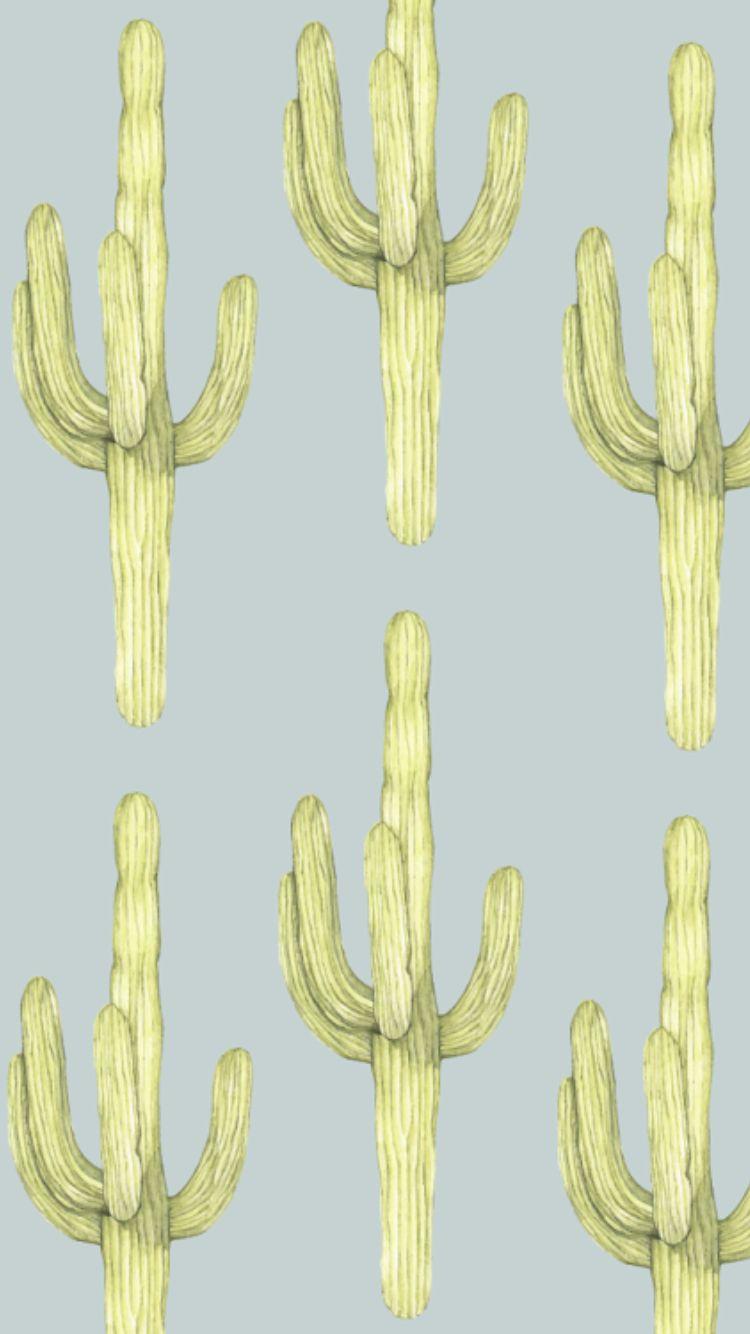 Cactus Phone Wallpapers - Top Free Cactus Phone Backgrounds ...