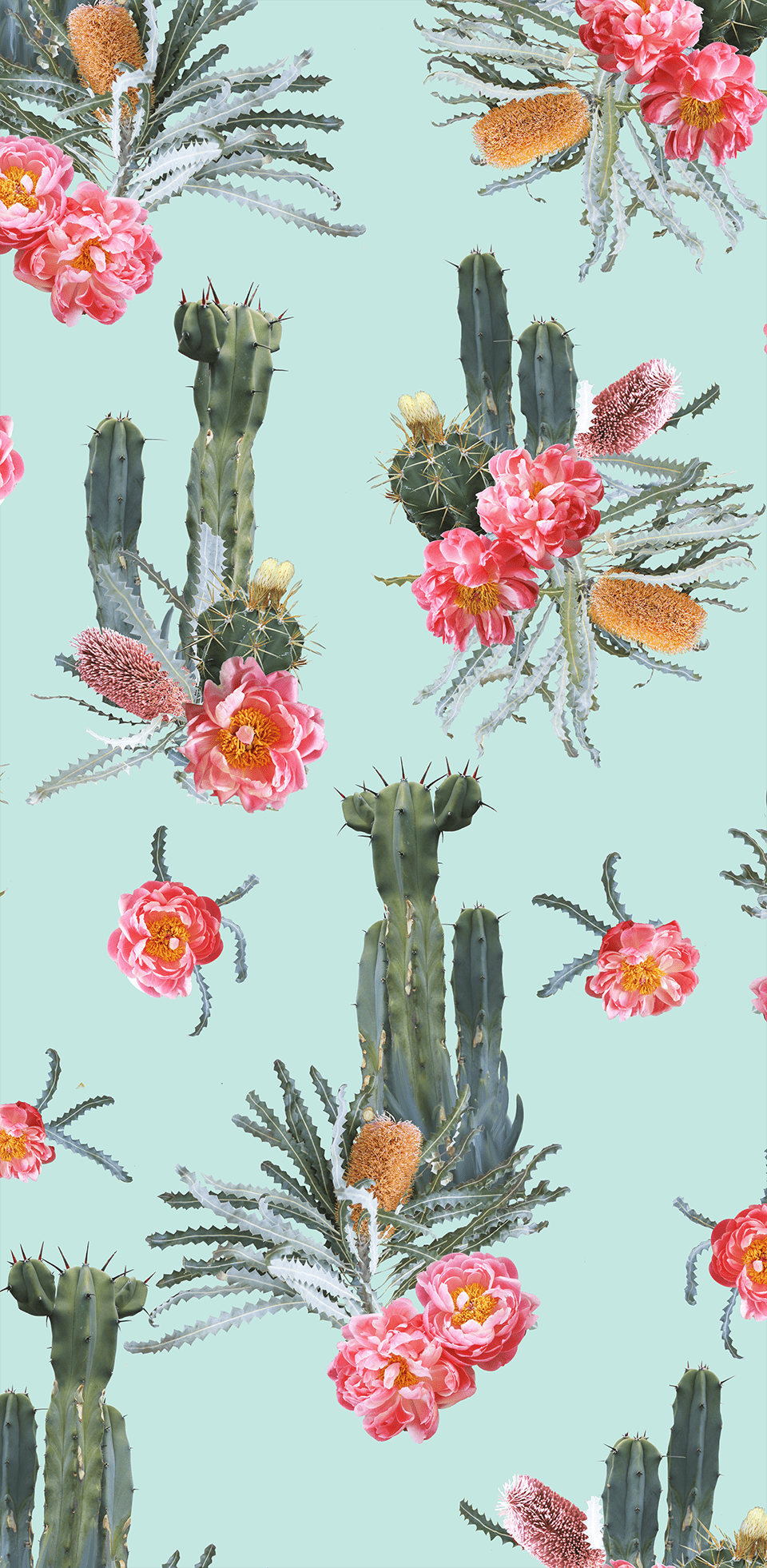 Cactus Phone Wallpapers - Top Free Cactus Phone Backgrounds ...