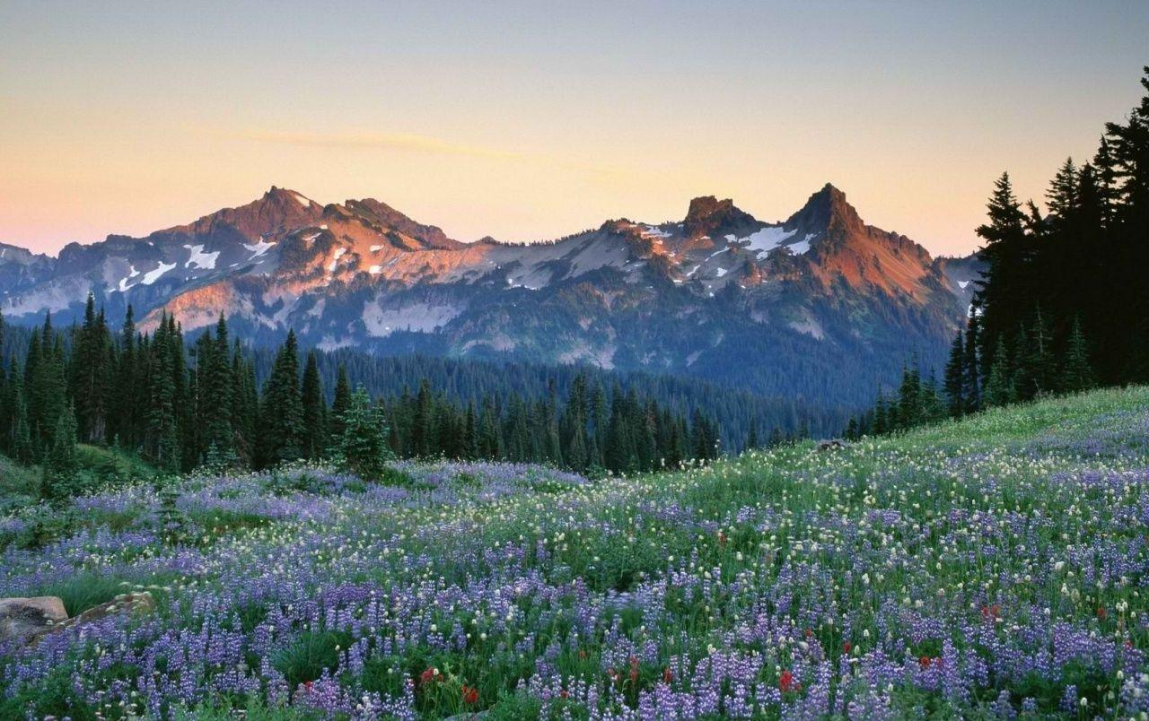 Washington Nature Wallpapers - Top Free Washington Nature Backgrounds ...