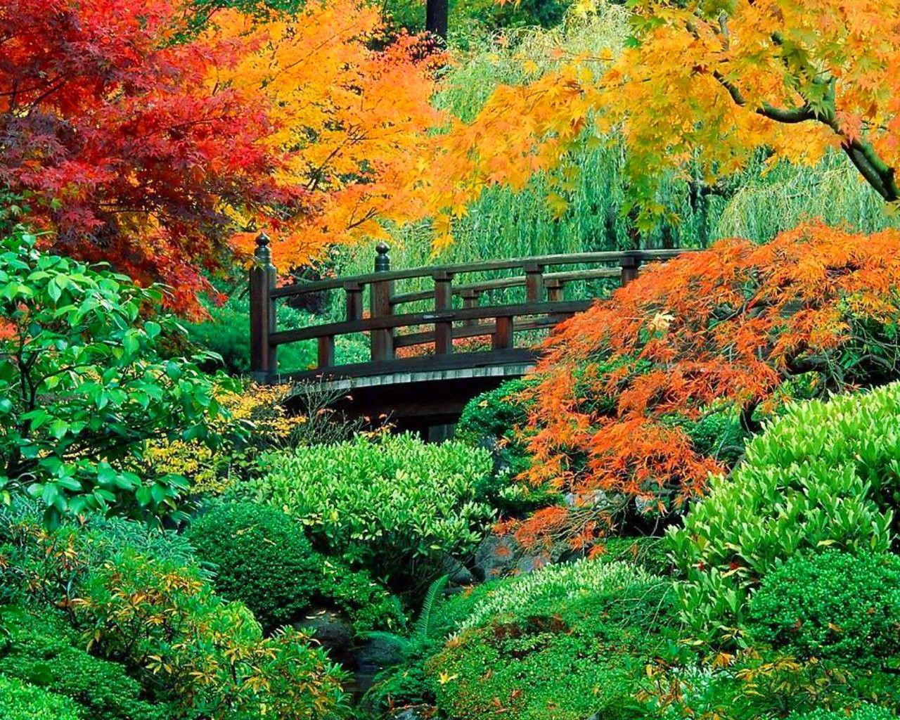 Washington Nature Wallpapers - Top Free Washington Nature Backgrounds ...