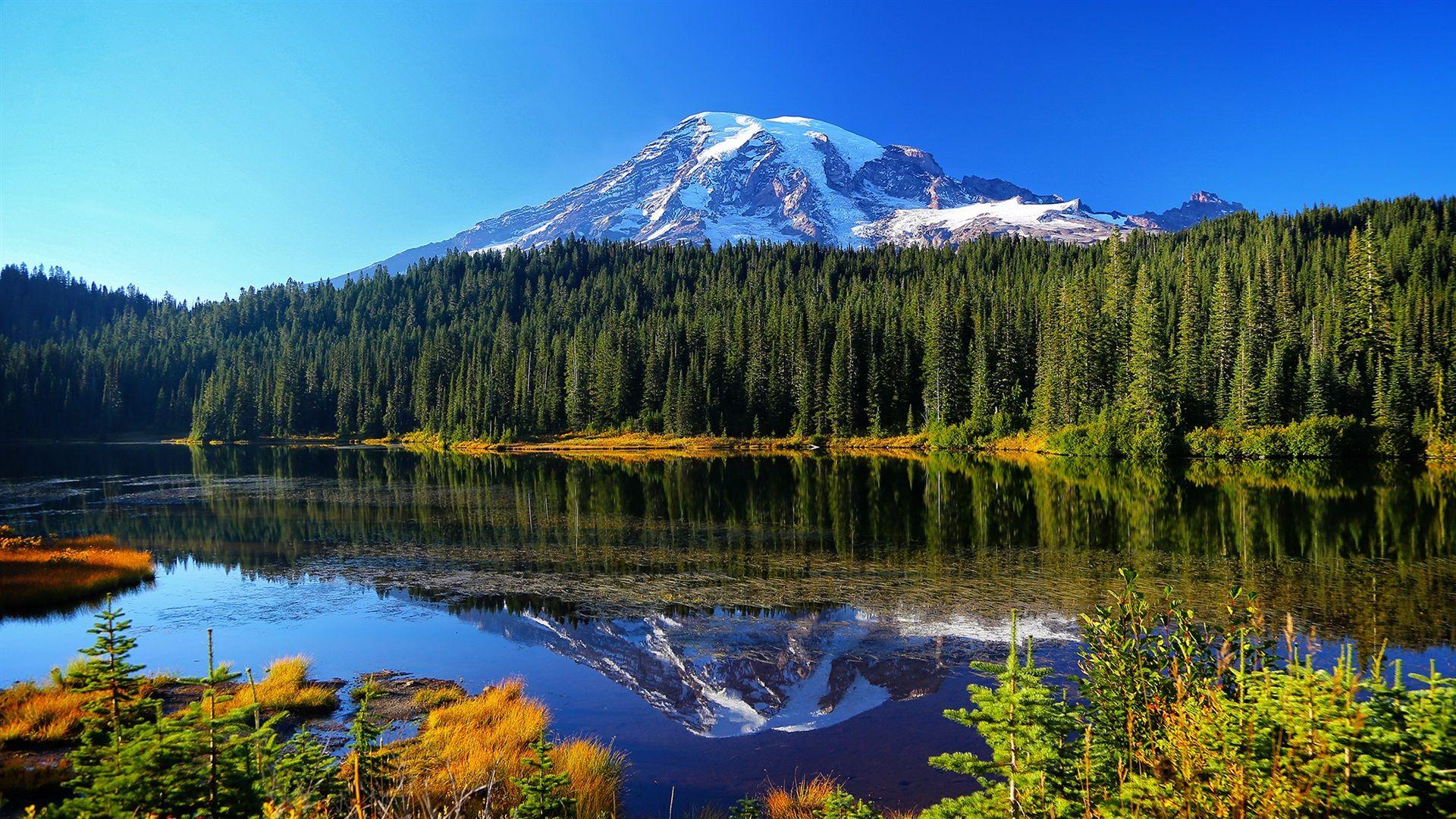 Mt. Rainier Wallpapers - Top Free Mt. Rainier Backgrounds - WallpaperAccess