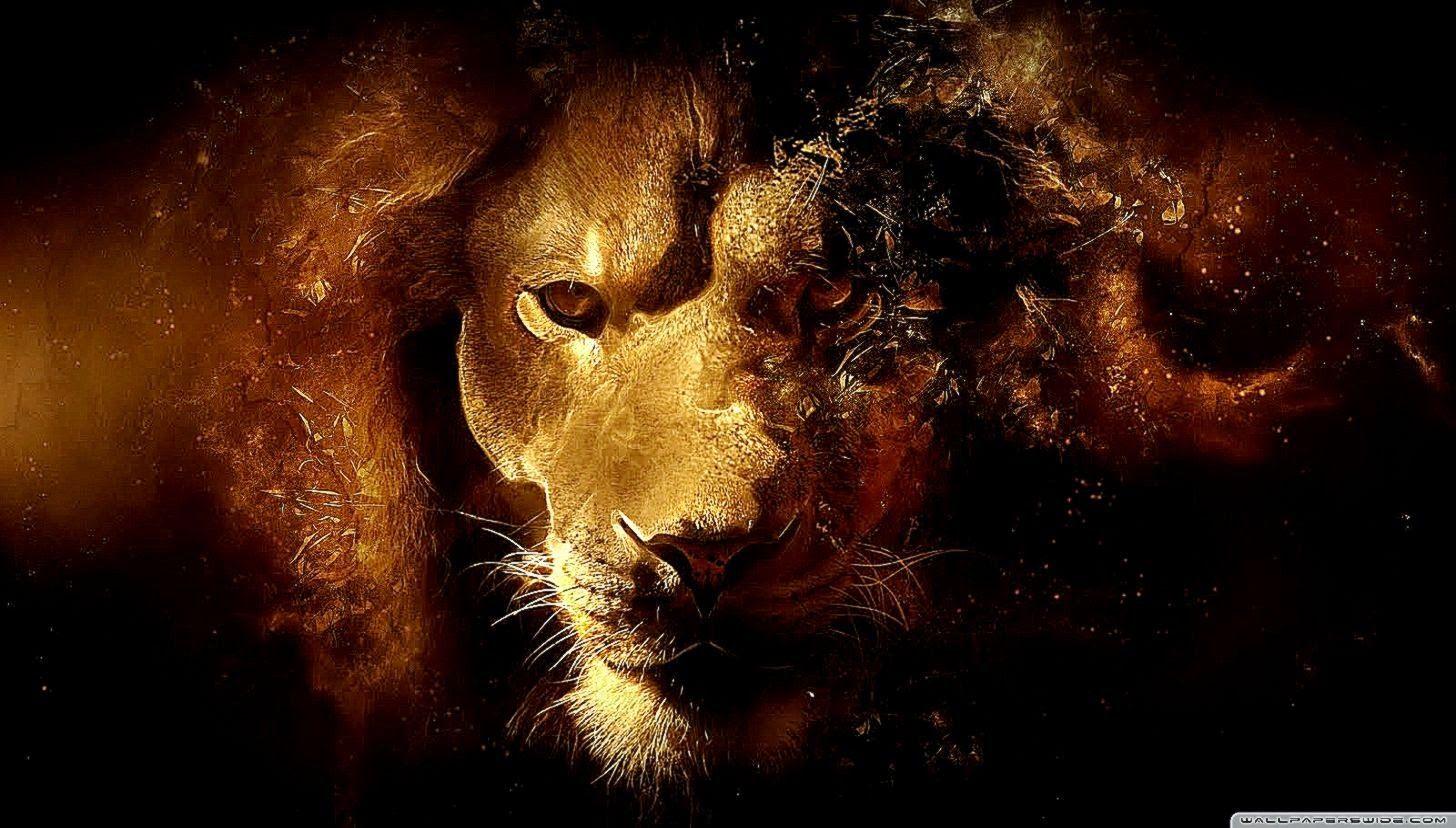 HD Lion Desktop Wallpapers - Top Free HD Lion Desktop Backgrounds ...