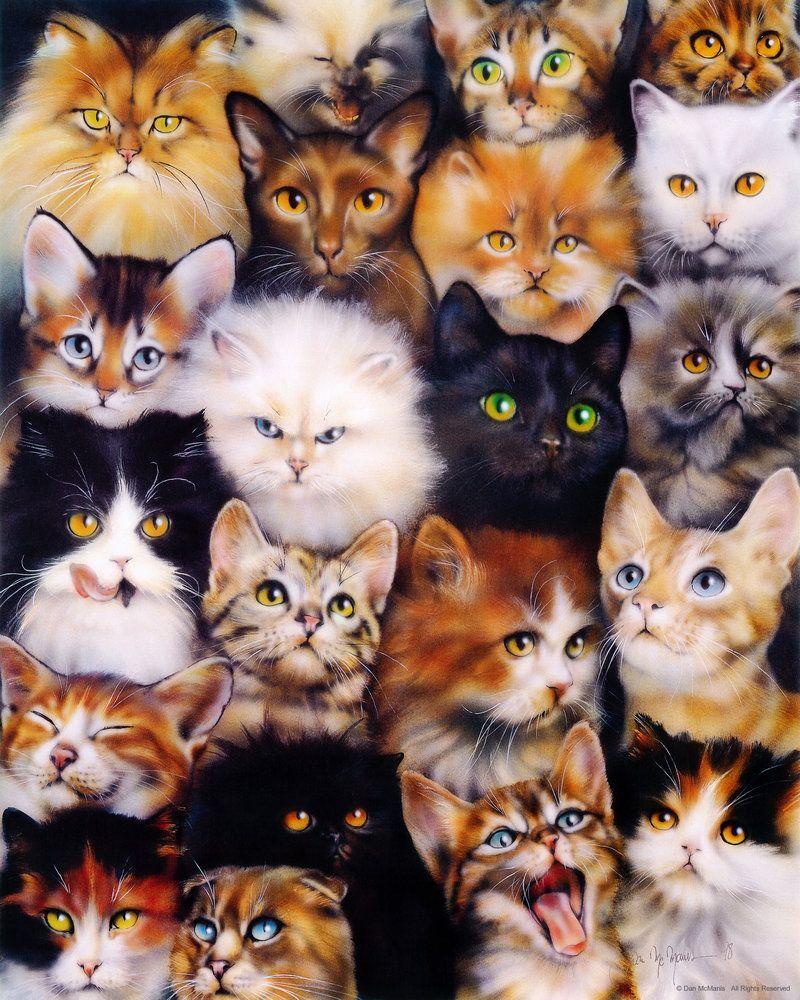 Cat Hipster Collage Wallpapers - Top Free Cat Hipster Collage ...