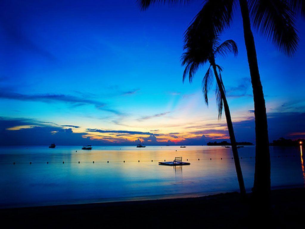 Jamaica Desktop Wallpapers - Top Free Jamaica Desktop Backgrounds ...