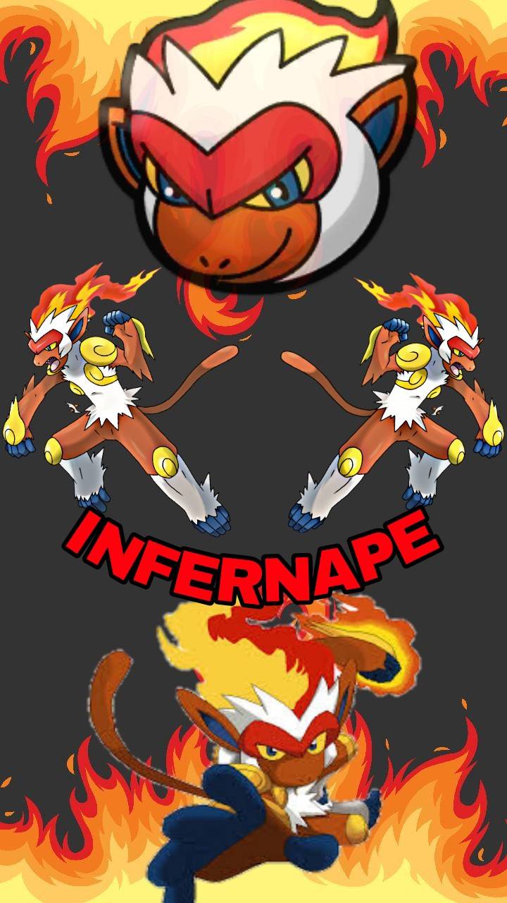 Infernape Wallpapers - Top Free Infernape Backgrounds - WallpaperAccess