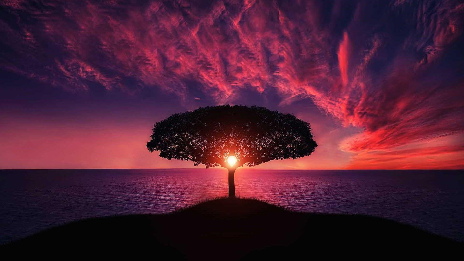 1920X1080 Sunset Wallpapers - Top Free 1920X1080 Sunset Backgrounds ...