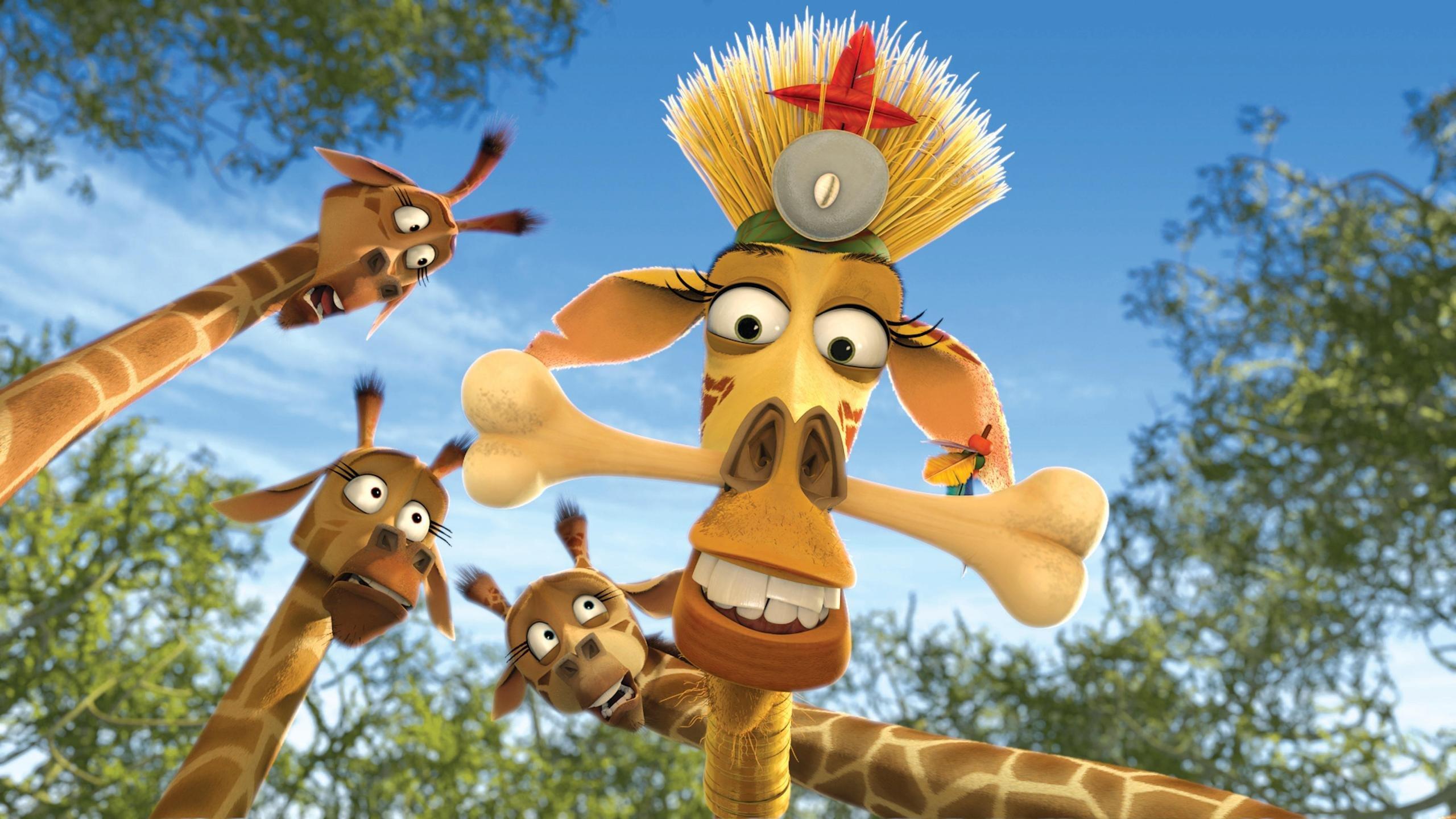 Madagascar 2 Wallpapers - Top Free Madagascar 2 Backgrounds ...
