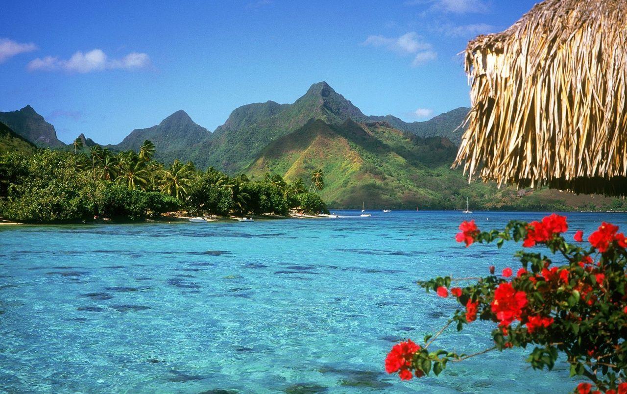 Tranquil Wallpapers - Top Free Tranquil Backgrounds - WallpaperAccess