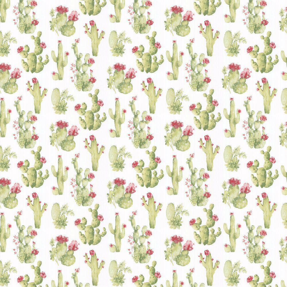 Cactus Flower Wallpapers - Top Free Cactus Flower Backgrounds ...