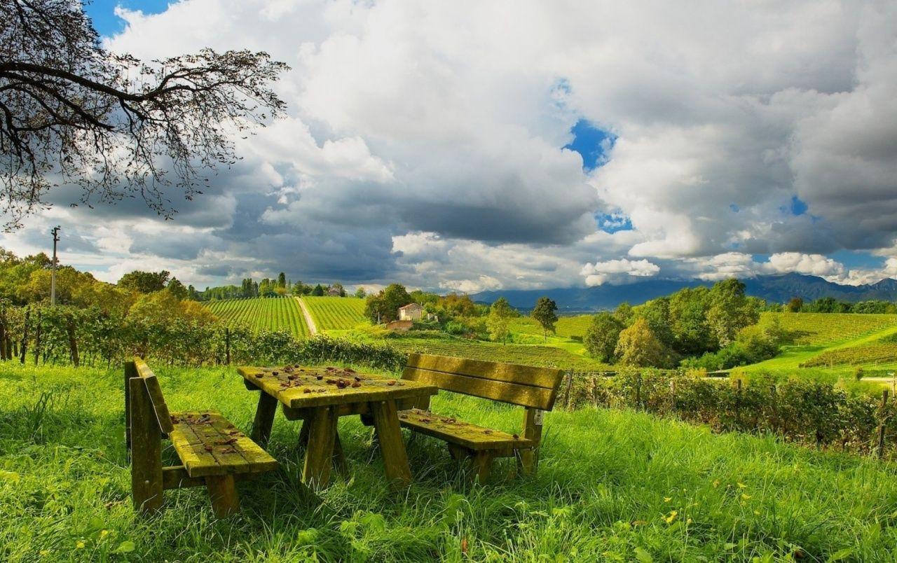 Tranquility Wallpapers - Top Free Tranquility Backgrounds - WallpaperAccess