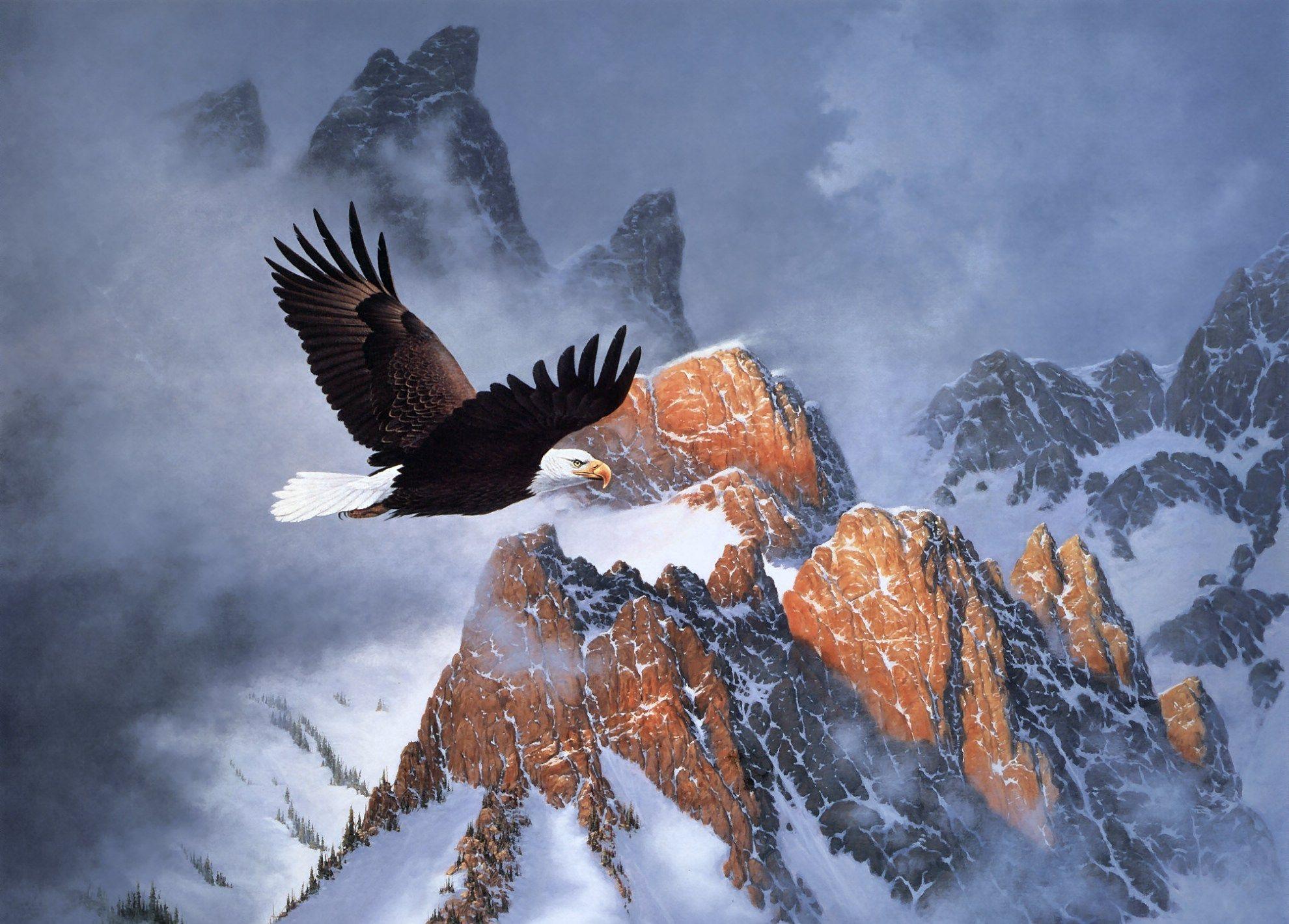 Eagle Flying HD Wallpapers - Top Free Eagle Flying HD Backgrounds - WallpaperAccess