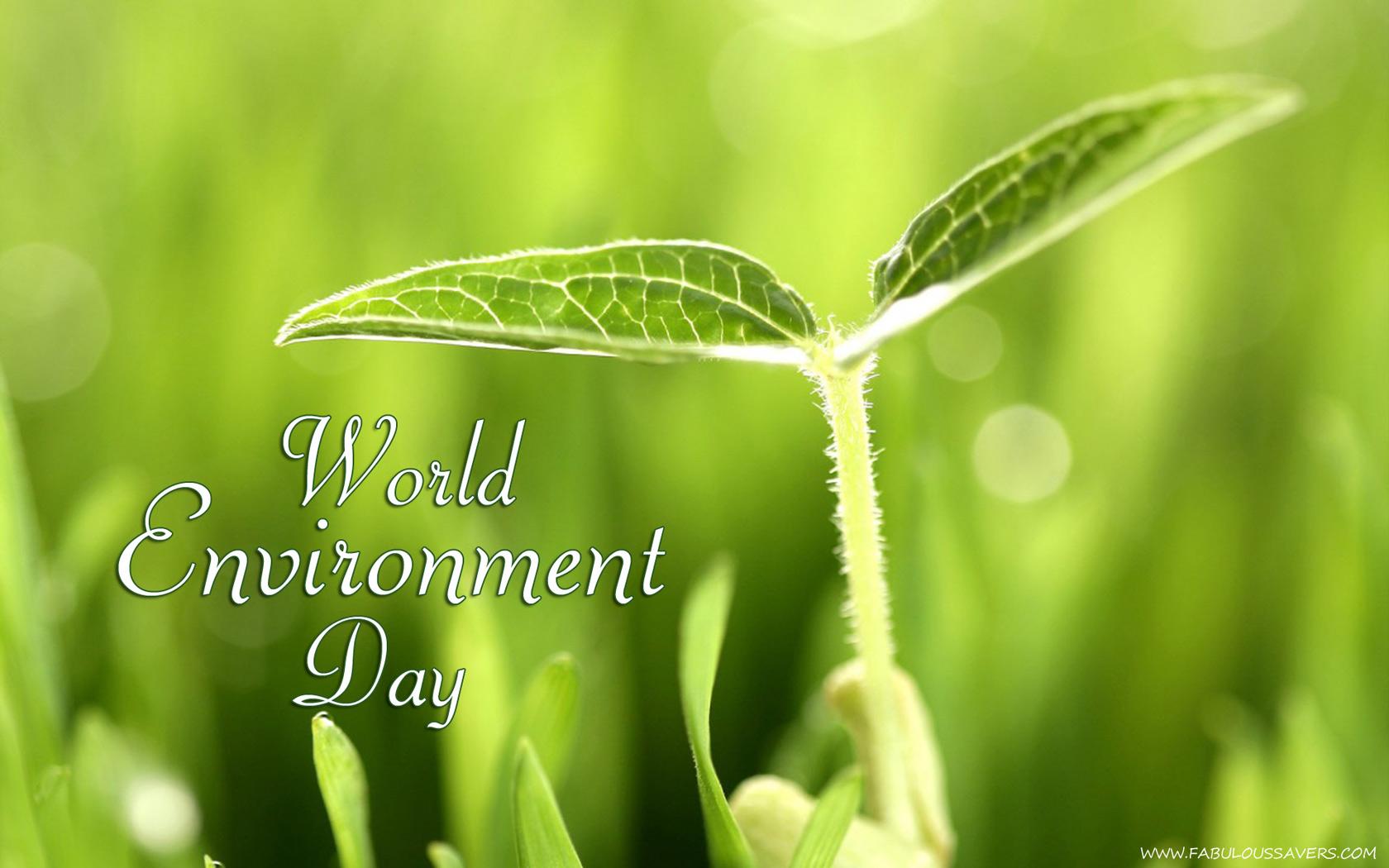 World Environment Day Wallpapers - Top Free World Environment Day ...