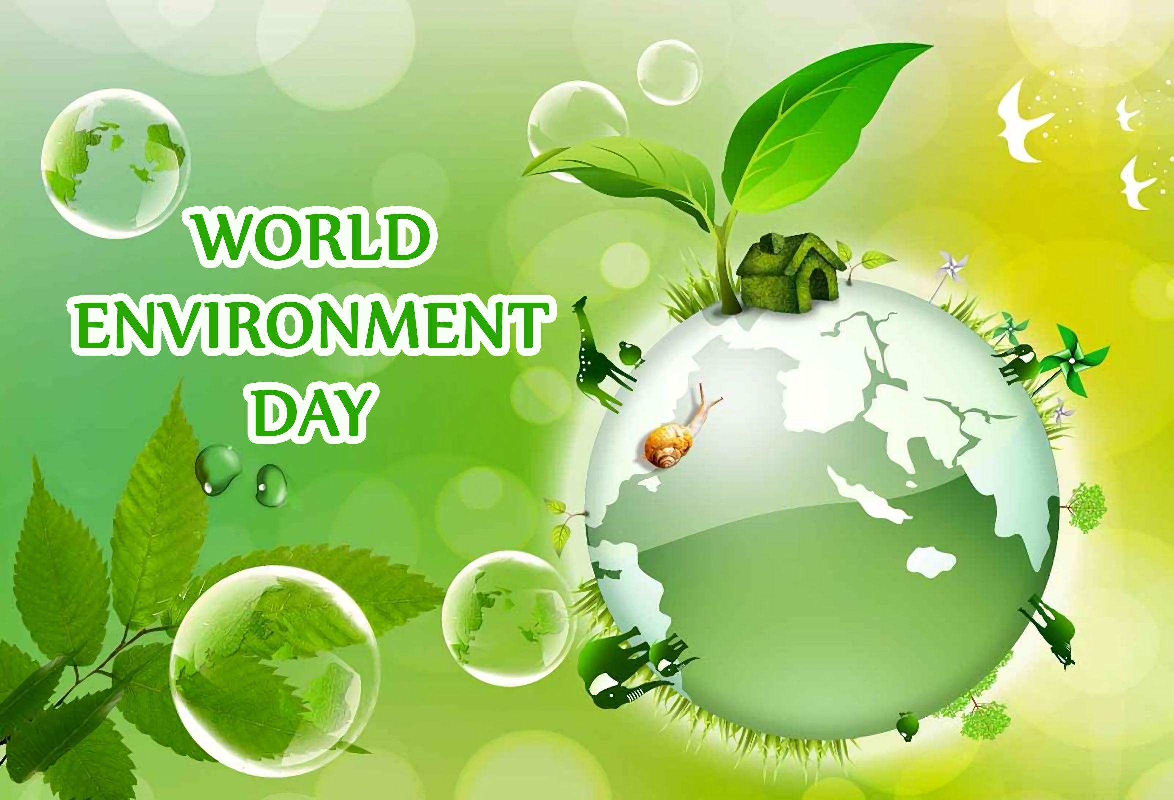 World Environment Day Wallpapers - Top Free World Environment Day ...