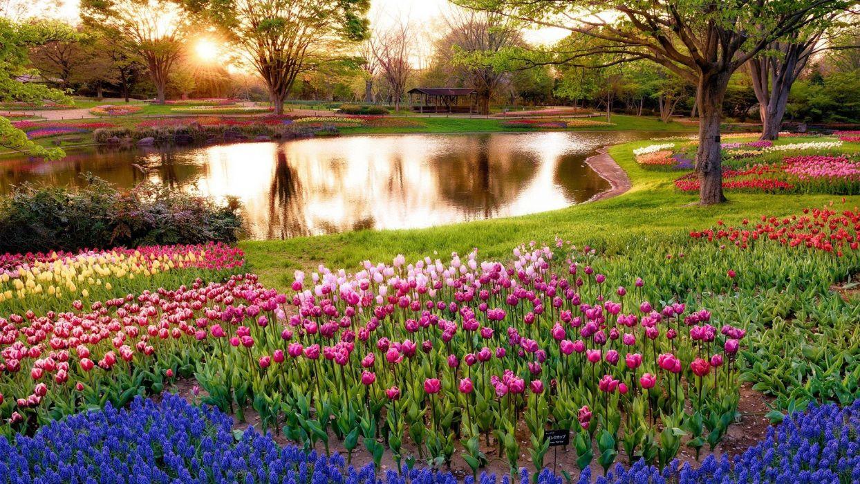 Tokyo Morning Wallpapers - Top Free Tokyo Morning Backgrounds ...