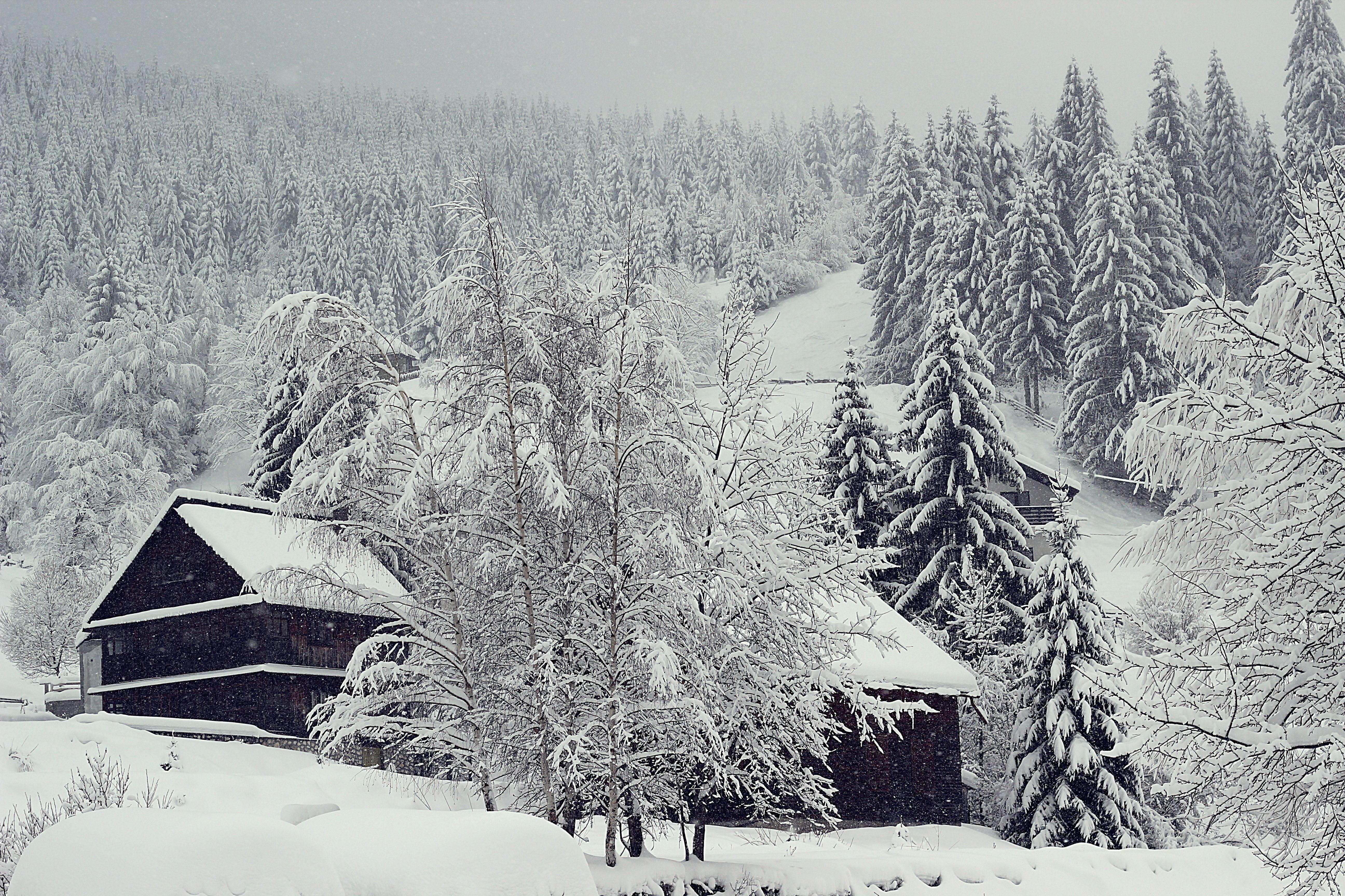 Cold Weather Wallpapers - Top Free Cold Weather Backgrounds ...