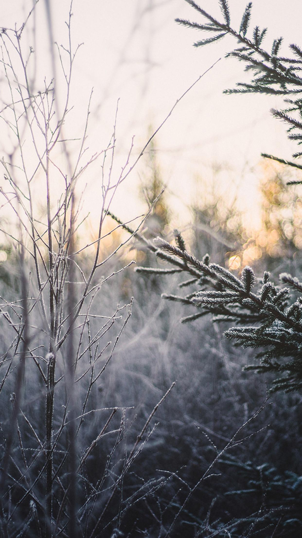 Cold Weather Wallpapers - Top Free Cold Weather Backgrounds ...