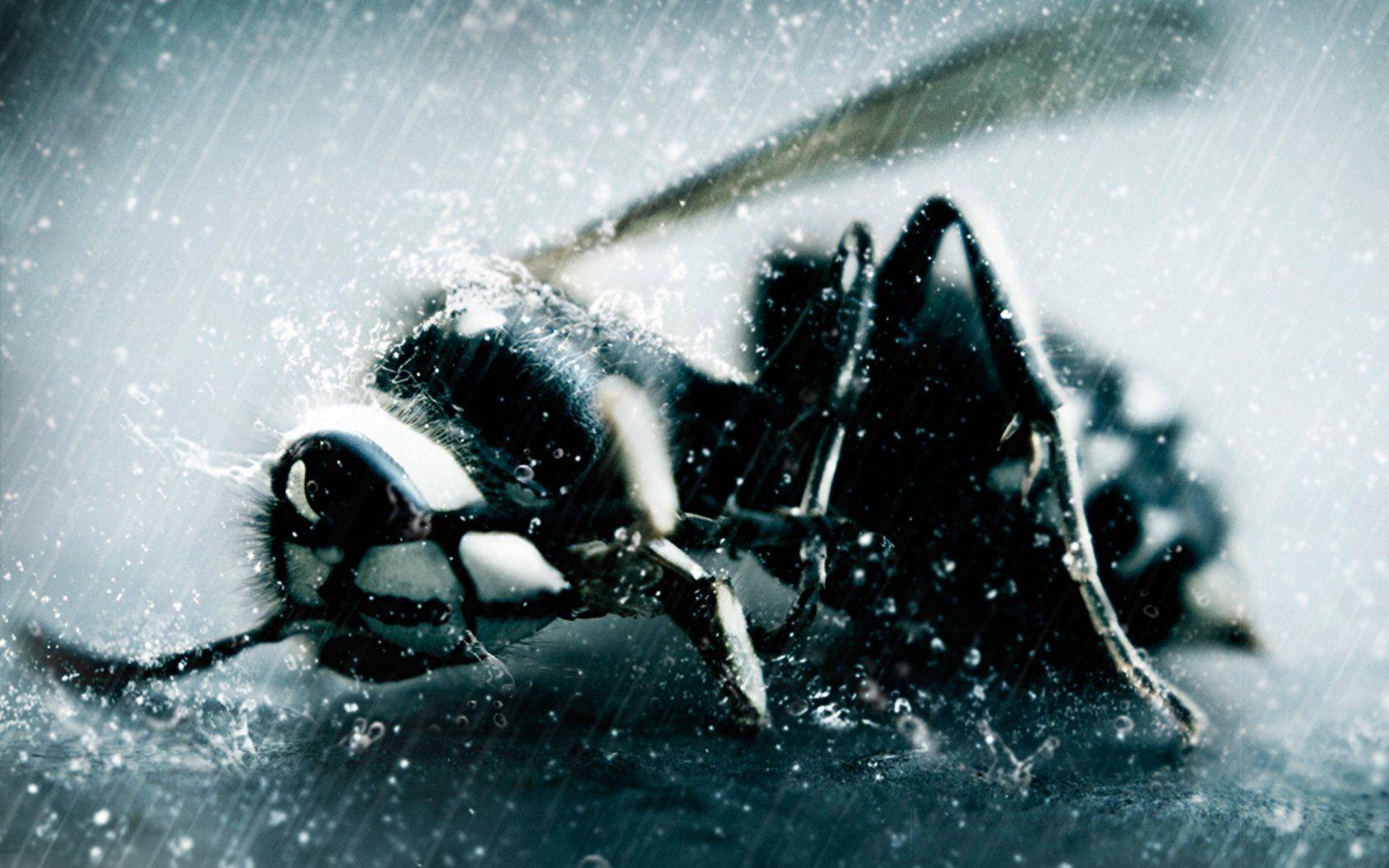 Bad Weather Wallpapers - Top Free Bad Weather Backgrounds - WallpaperAccess