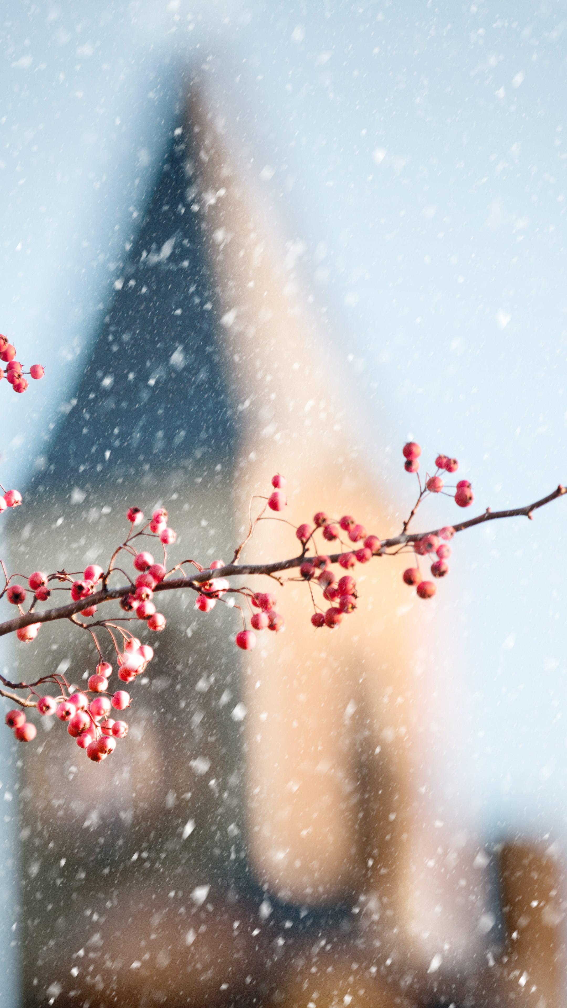 Mobile Winter Wallpapers - Top Free Mobile Winter Backgrounds ...