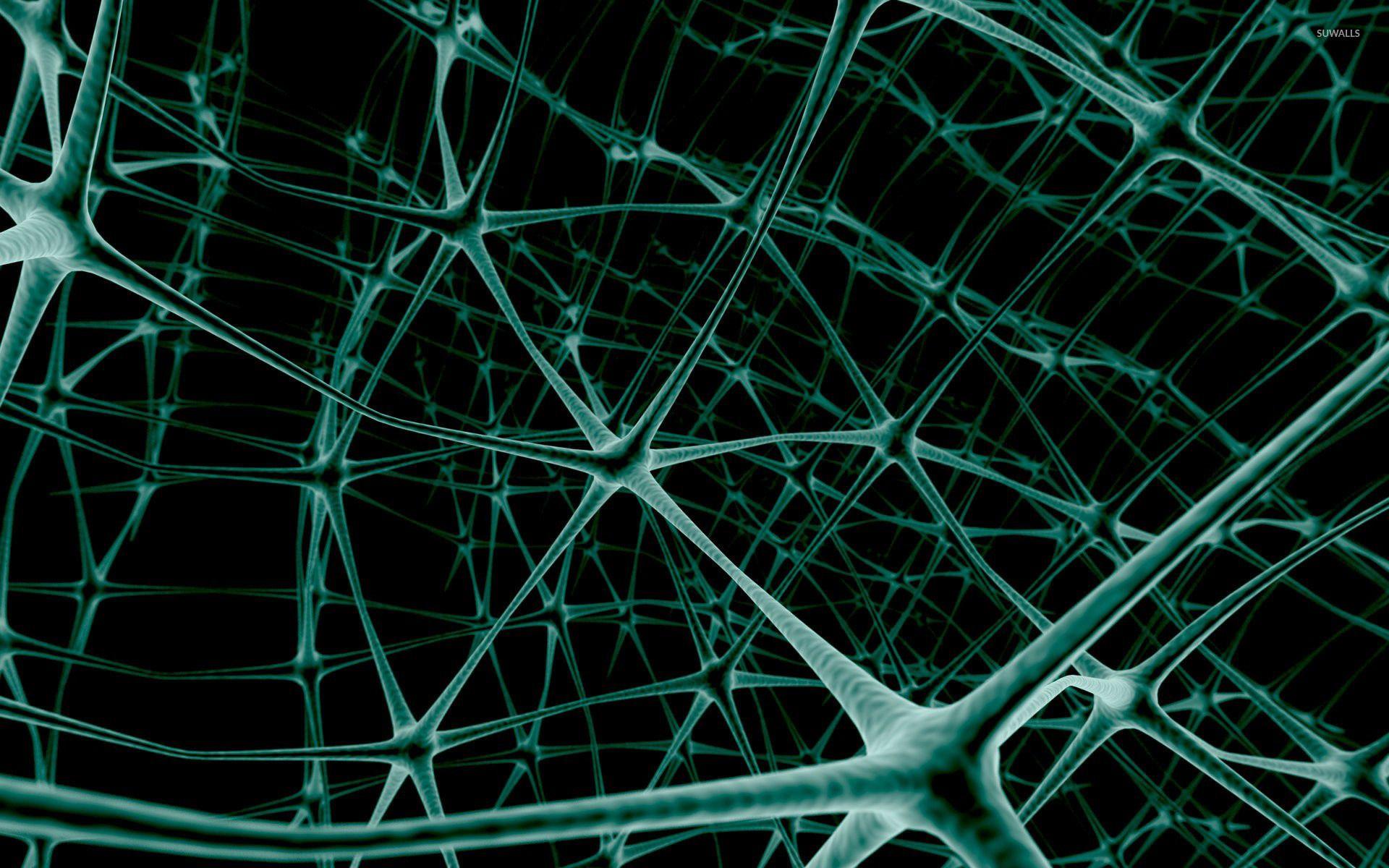 Web Wallpapers - Top Free Web Backgrounds - WallpaperAccess