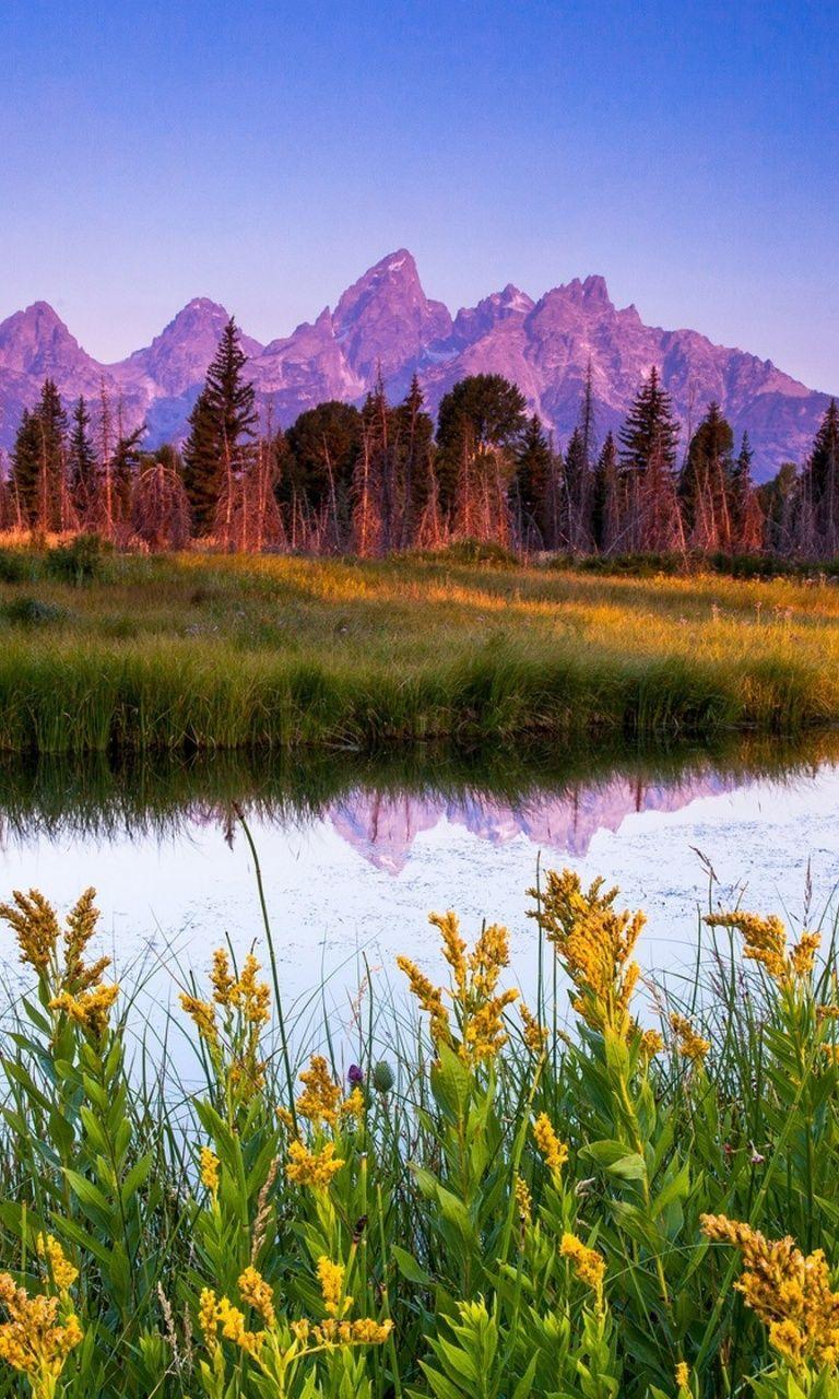 768 X 1280 Wallpapers - Top Free 768 X 1280 Backgrounds - WallpaperAccess