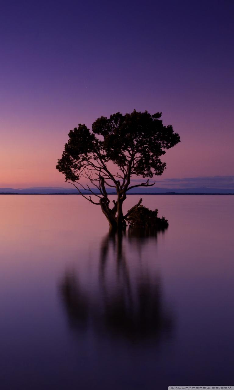 768 X 1280 Wallpapers - Top Free 768 X 1280 Backgrounds - WallpaperAccess