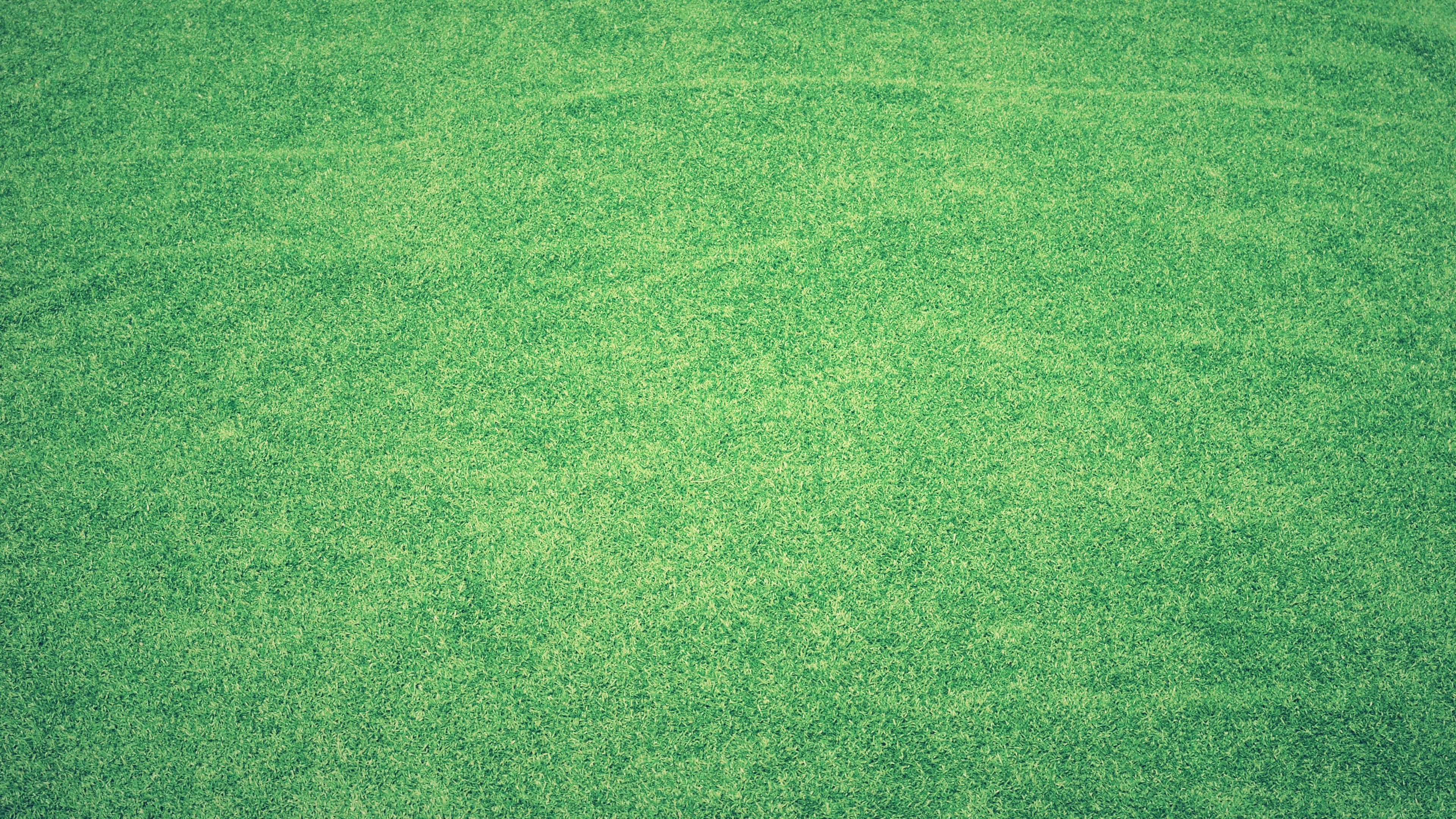 4K Grass Wallpapers - Top Free 4K Grass Backgrounds - WallpaperAccess