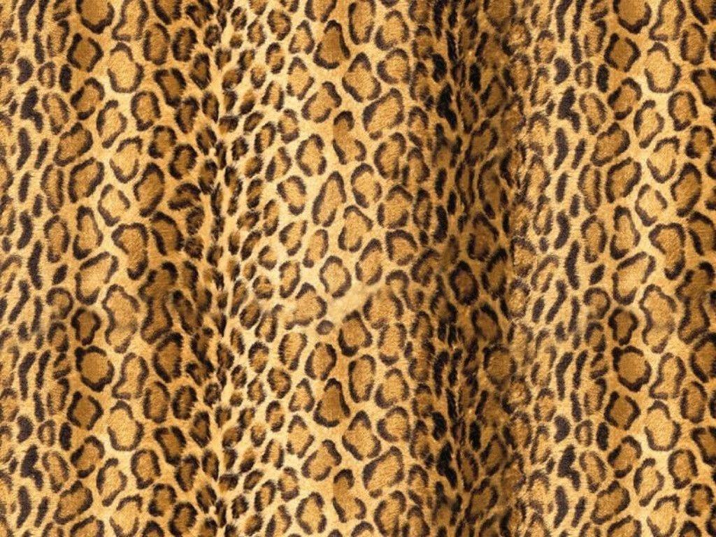 Leopard Print Wallpapers - Top Free Leopard Print Backgrounds ...