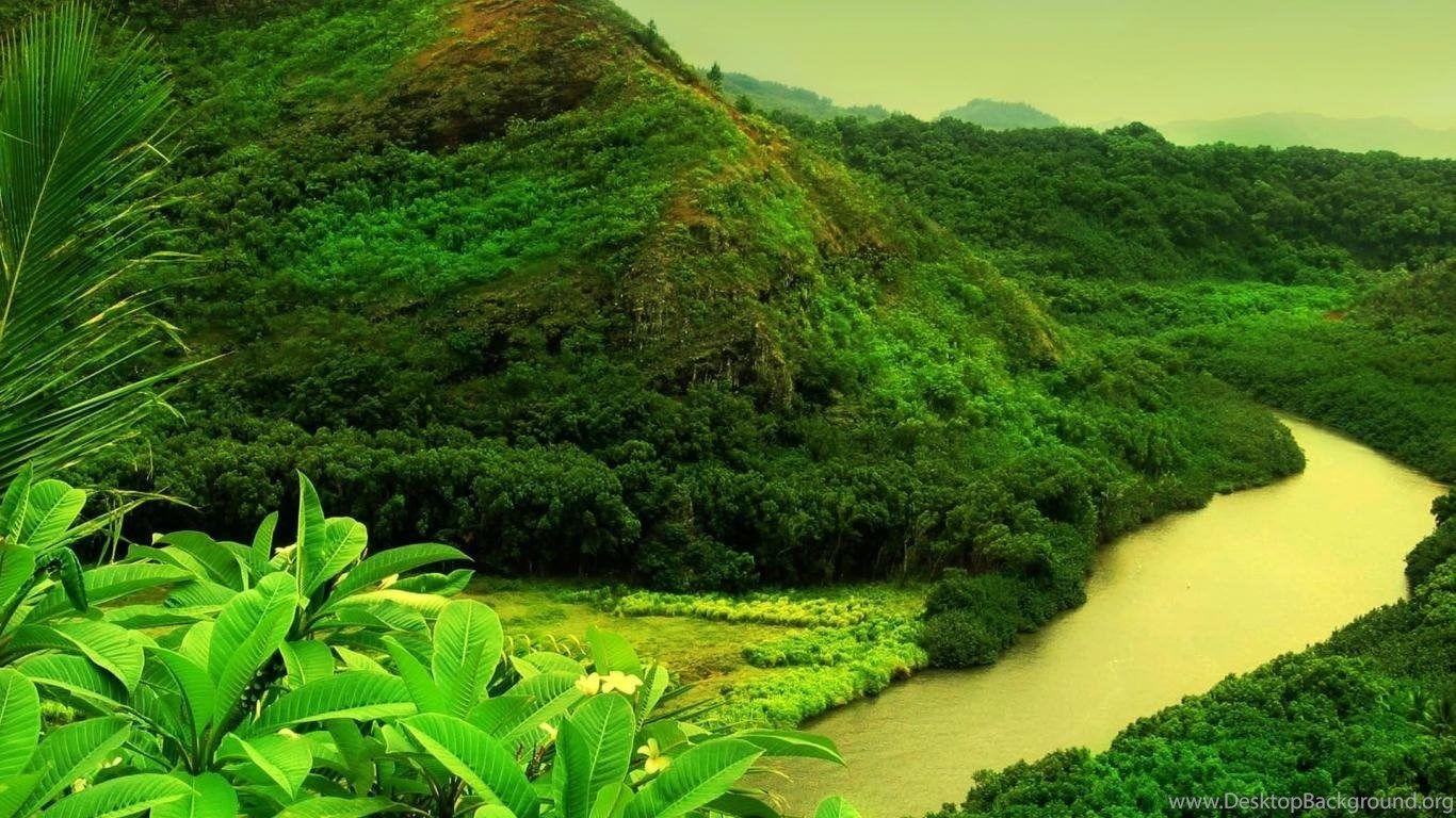 Live Nature Wallpapers - Top Free Live Nature Backgrounds - WallpaperAccess