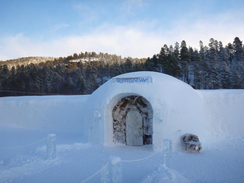 Igloo Wallpapers - Top Free Igloo Backgrounds - WallpaperAccess