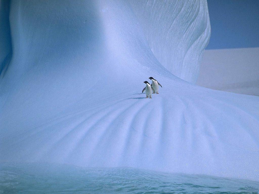 Igloo Wallpapers - Top Free Igloo Backgrounds - WallpaperAccess