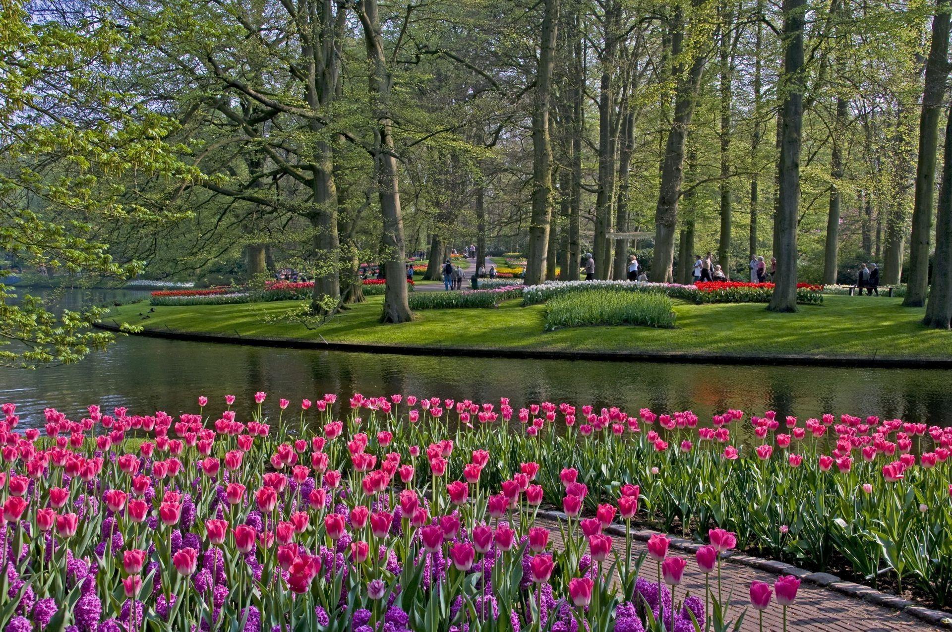 Keukenhof Wallpapers - Top Free Keukenhof Backgrounds - WallpaperAccess