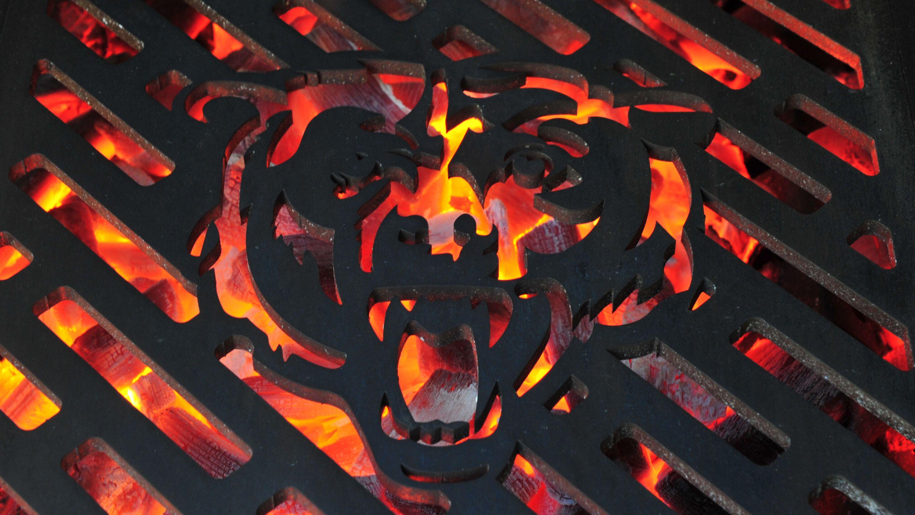 Fire Bear Wallpapers - Top Free Fire Bear Backgrounds - WallpaperAccess