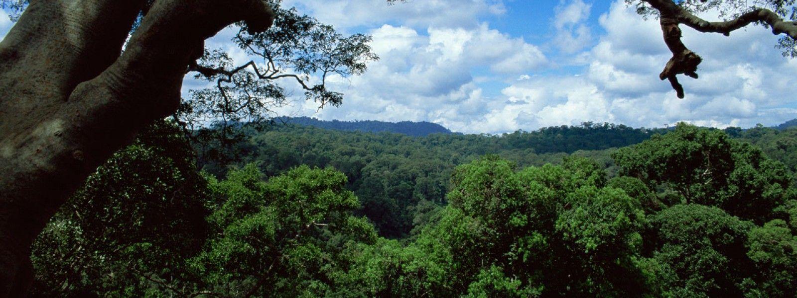 Discovery Channel Planet Earth Wallpapers - Top Free Discovery Channel ...