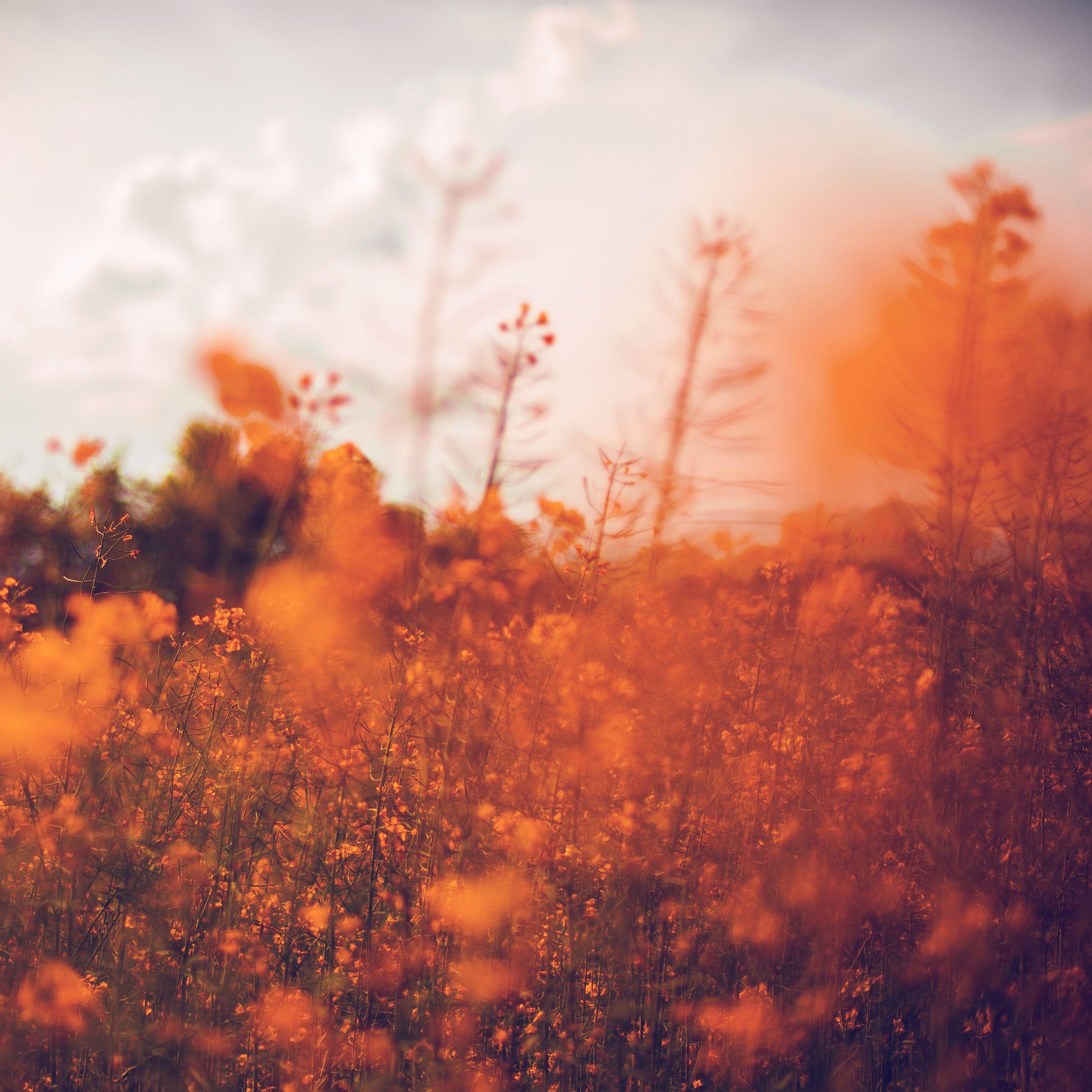 Happy Spring Wallpapers - Top Free Happy Spring Backgrounds ...