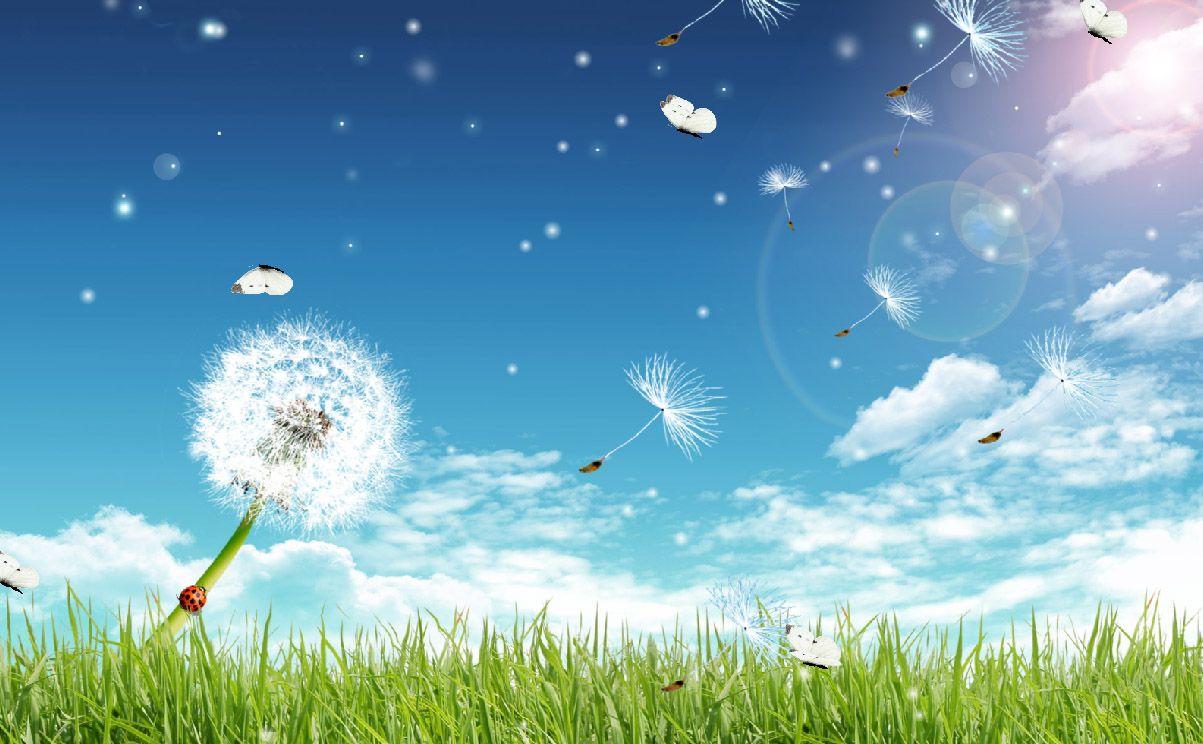 Happy Spring Wallpapers - Top Free Happy Spring Backgrounds ...