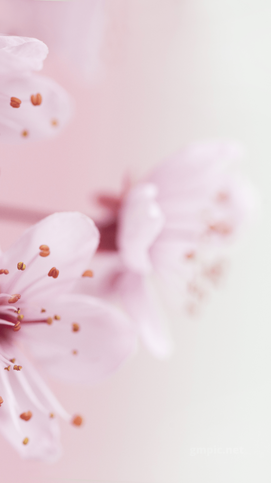 Happy Spring Wallpapers - Top Free Happy Spring Backgrounds ...