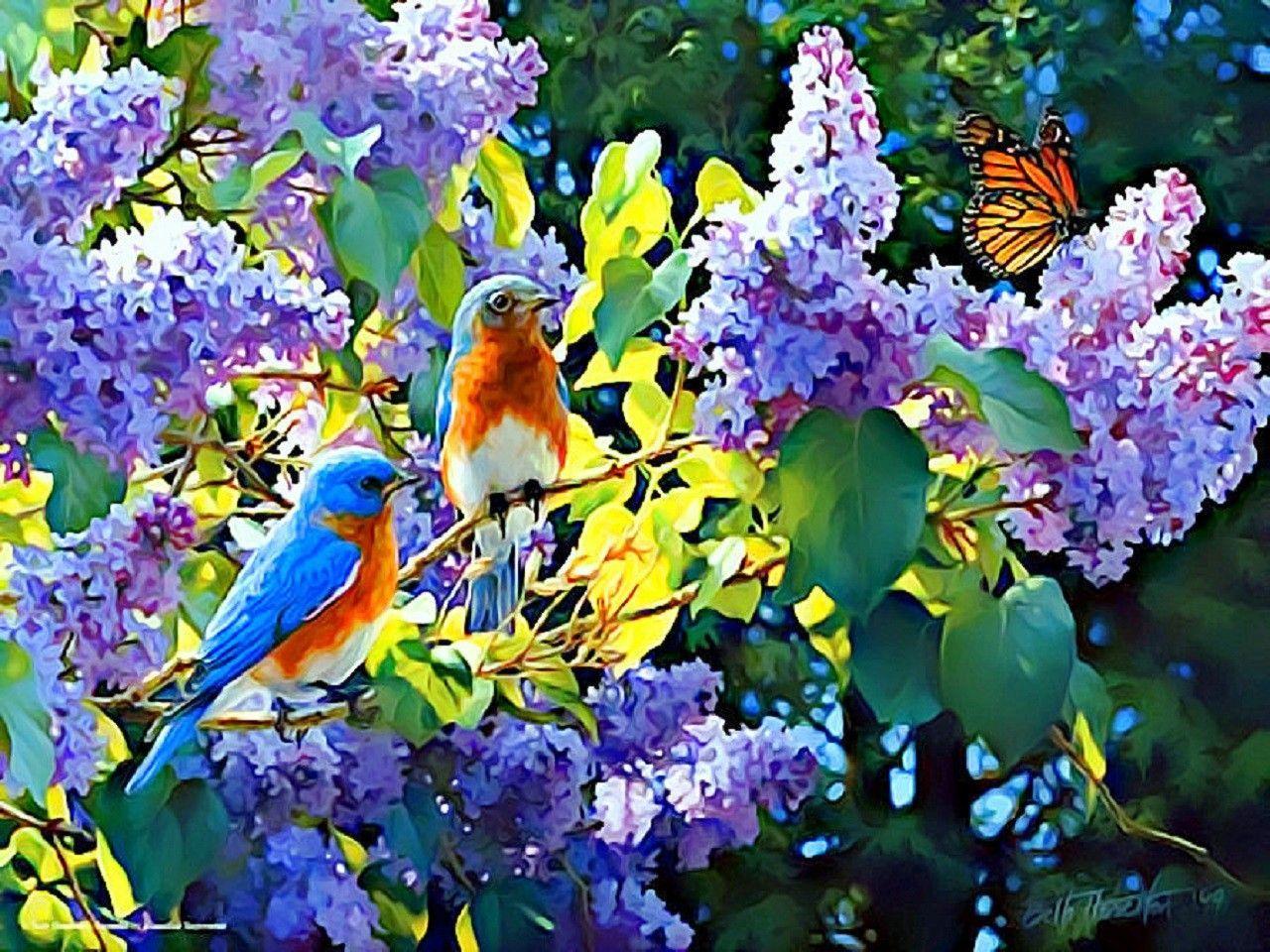 Spring Birds Wallpapers - Top Free Spring Birds Backgrounds ...