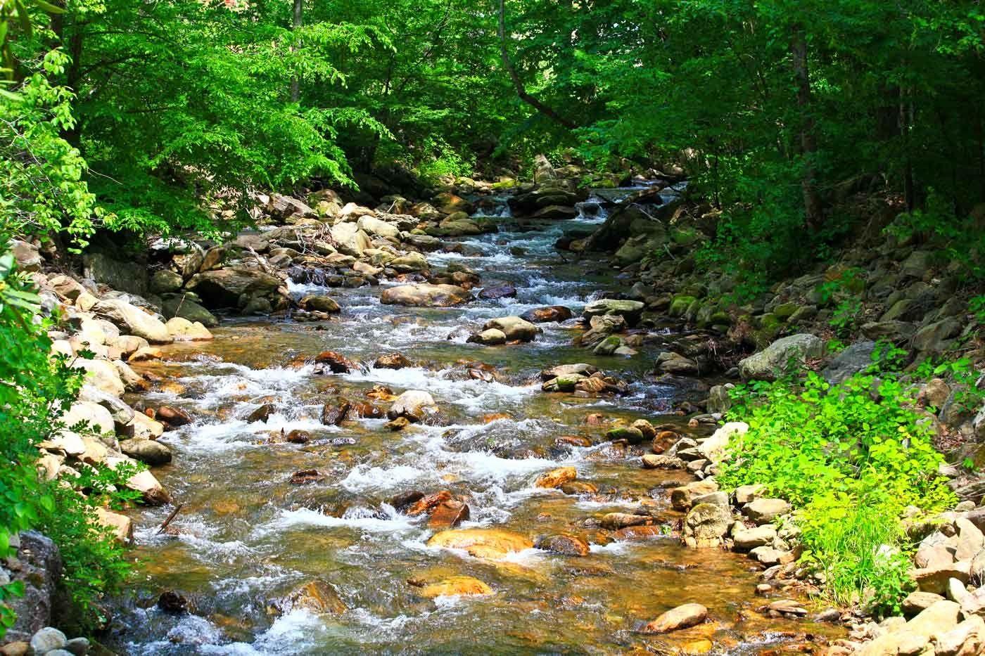 Summer Scenes Wallpapers - Top Free Summer Scenes Backgrounds ...