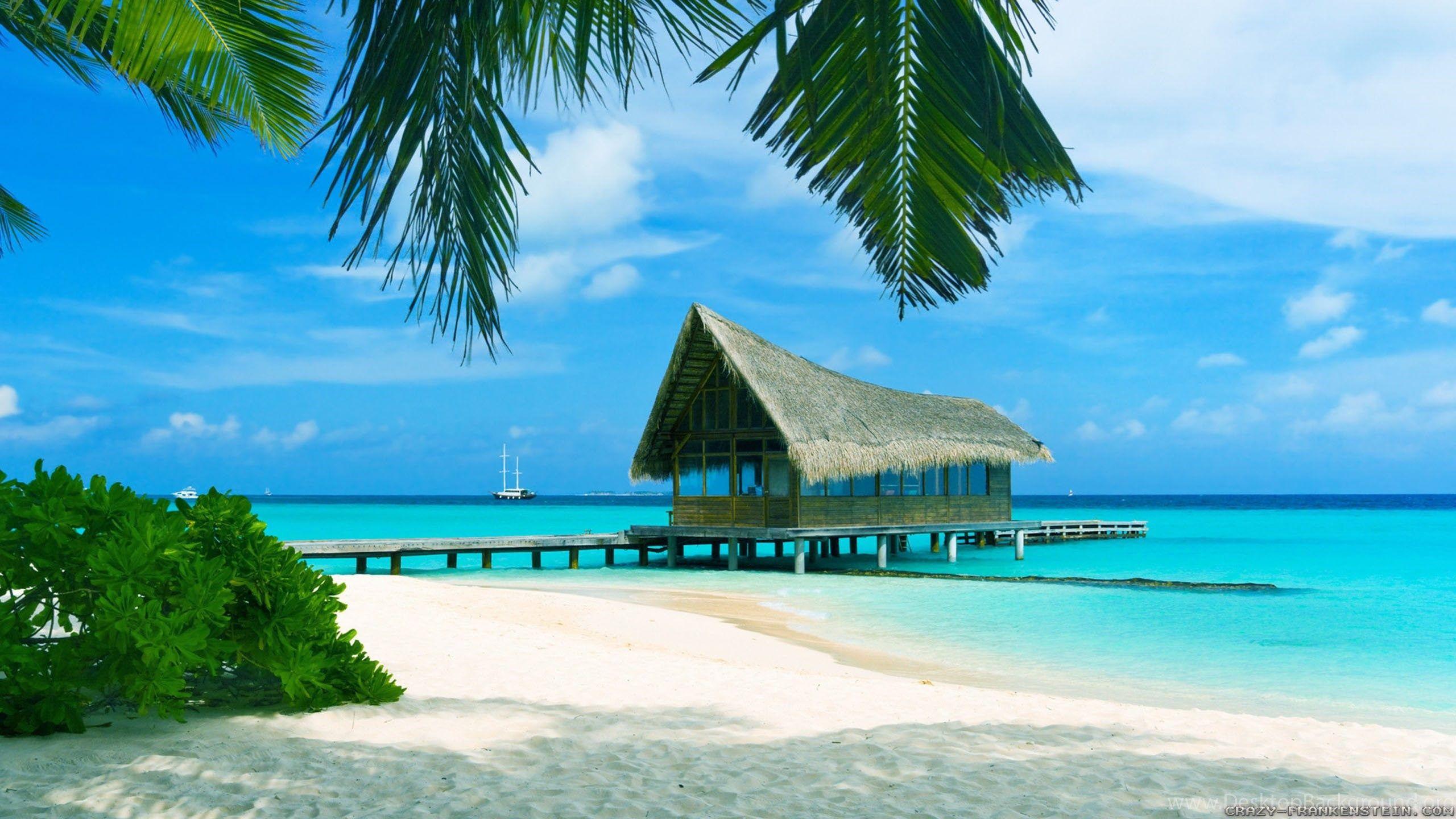 Summer Scenes Wallpapers - Top Free Summer Scenes Backgrounds ...